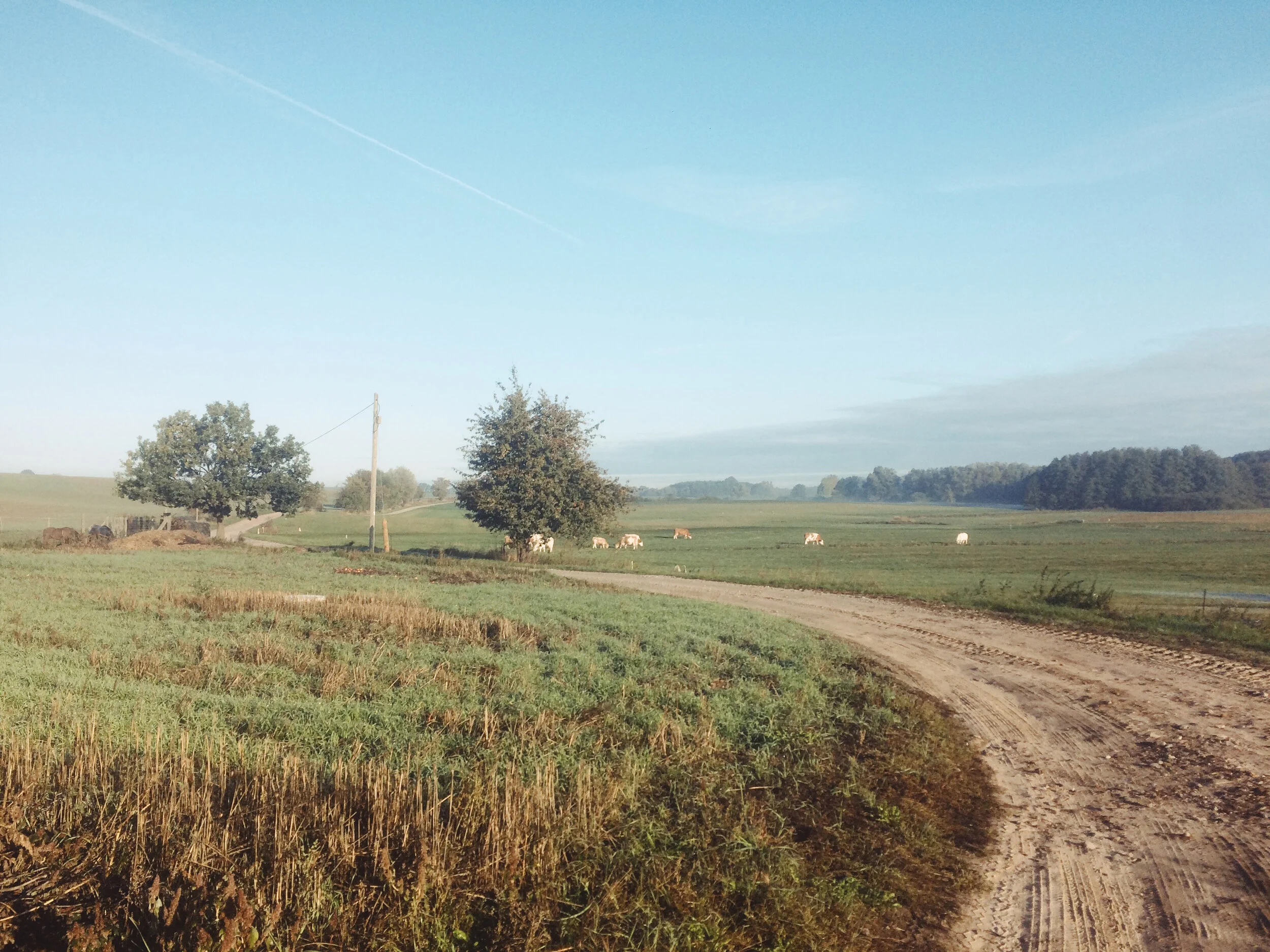 Architecture and Interior Illustration — Josephin Ritschel