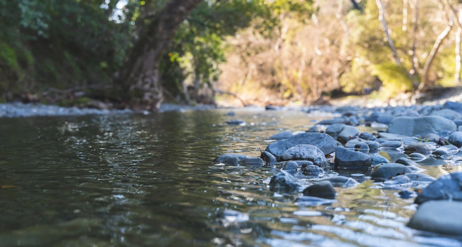 Water Pollution — Georgia WAND