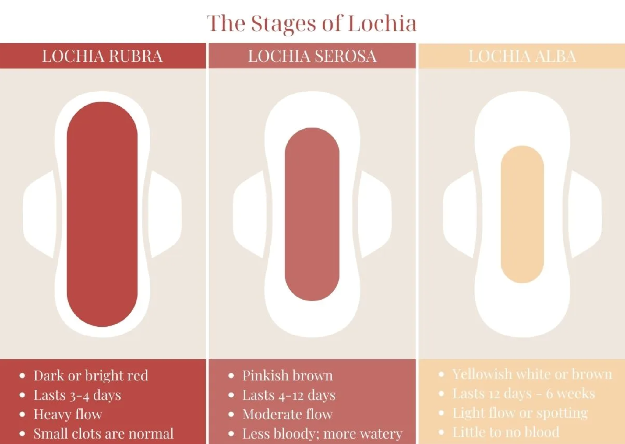 Postpartum Bleeding Postpartum Bleeding
