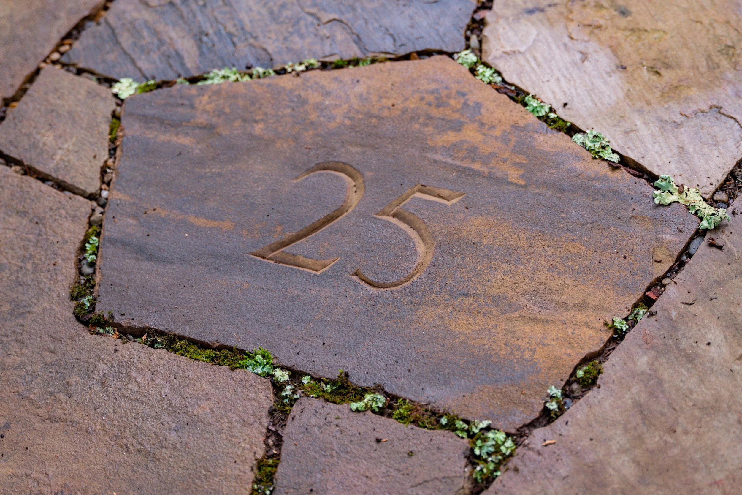 Custom Stone & Stonework Pathways in Charlotte, NC | Hammerhead ...