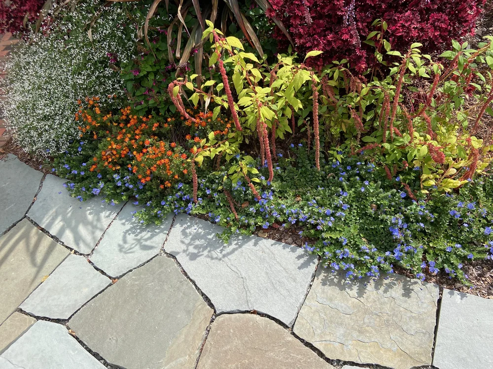 Custom Stone & Stonework Pathways in Charlotte, NC | Hammerhead ...