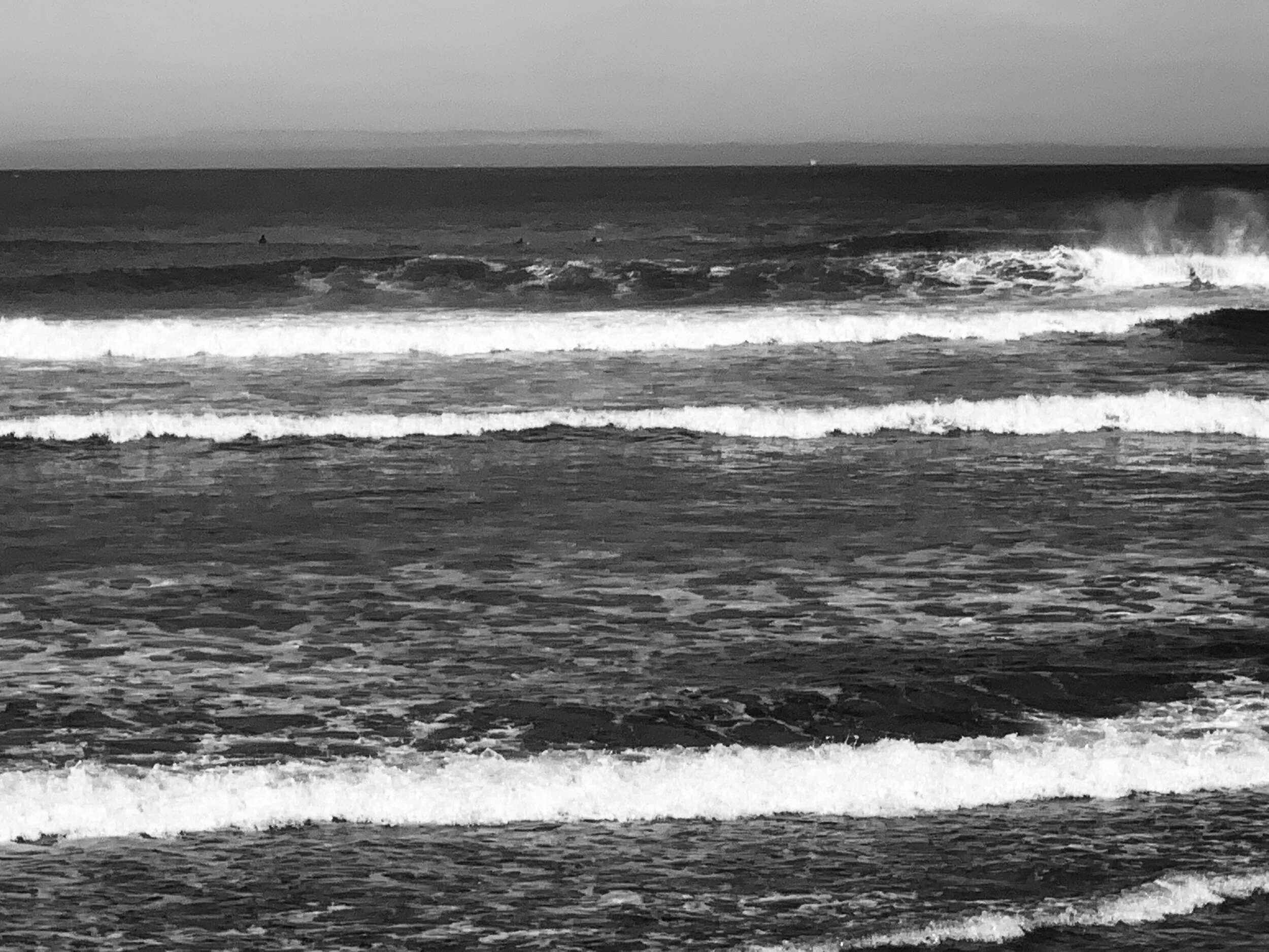 Mentorship — Jan Lab MGH