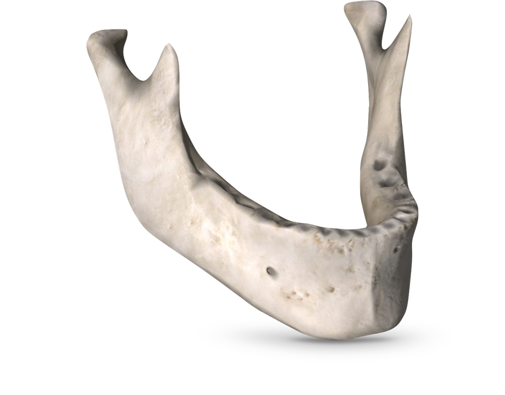 Expansion Calculator — Ortho Calculator