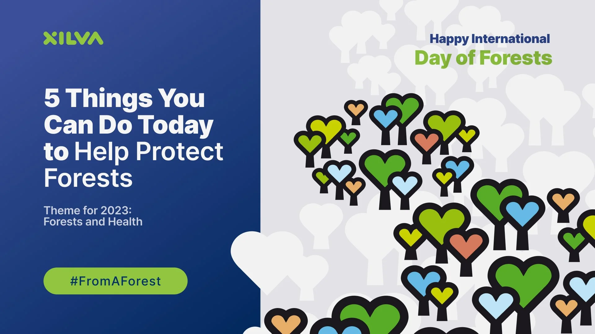 5 Things You Can Do Today to Help Protect Forests — Xilva