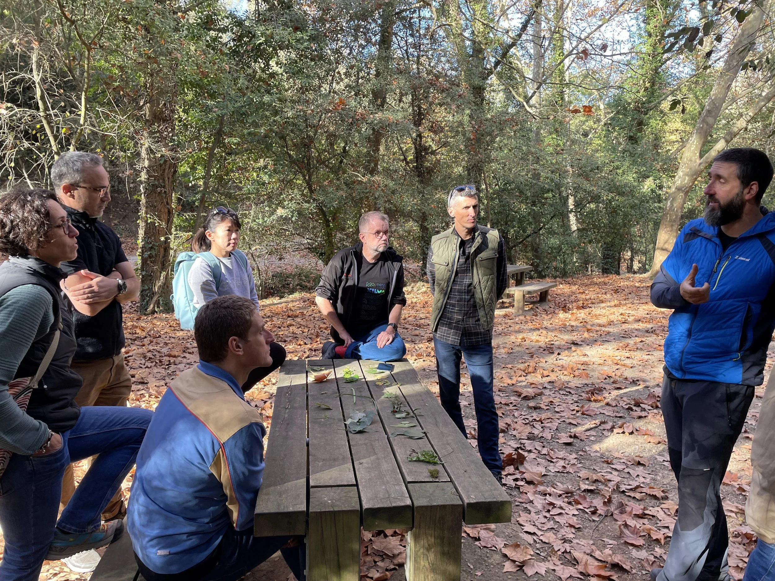 Forest Investment | Regenerative Forest Investment