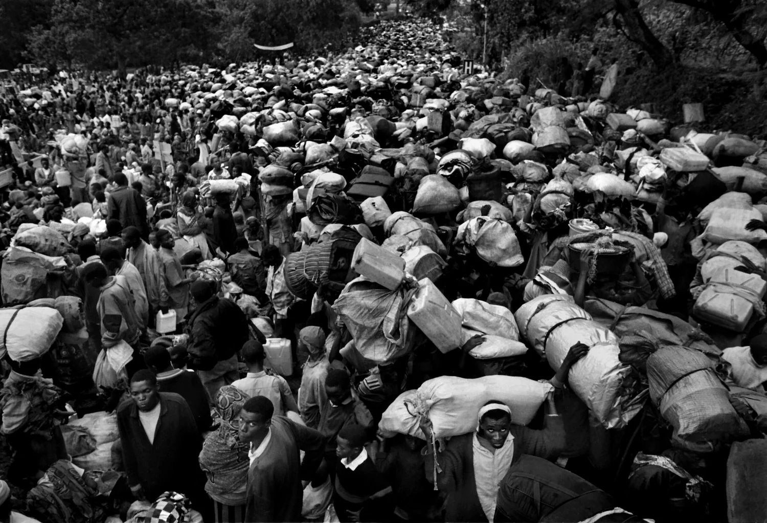 Carol Guzy — Unflinching Grace