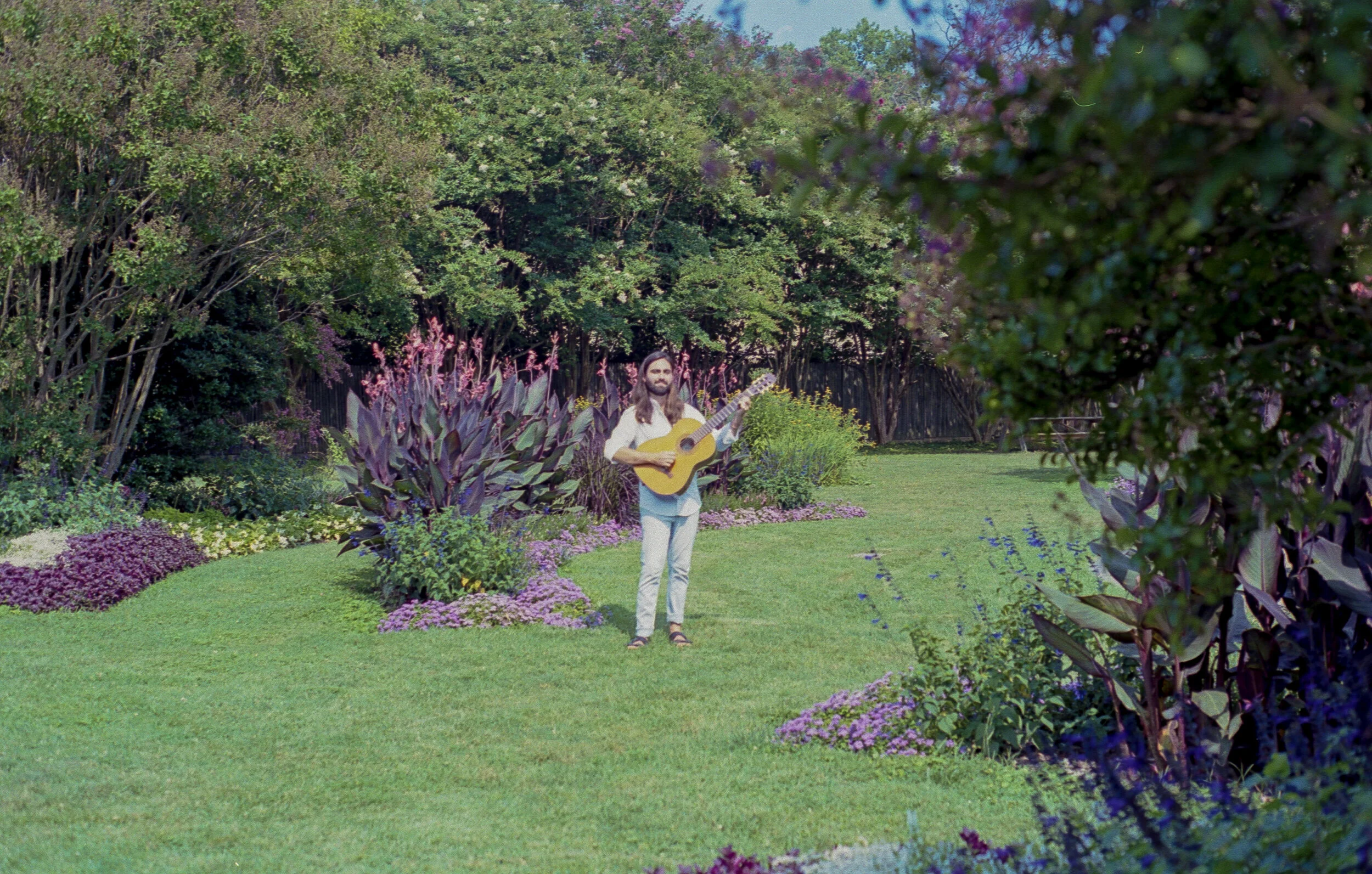 Ari and the Buffalo Kings