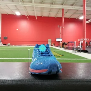 Influence of shoe flaring on foot and ankle mechanics for runners ...