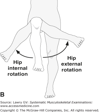 Internal And External Rotation Of The Hip