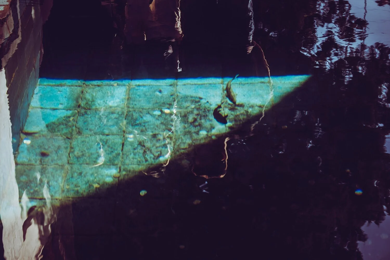 LOUDSPEAKER:: Poem by CJ Strauss — WUSSY Mag