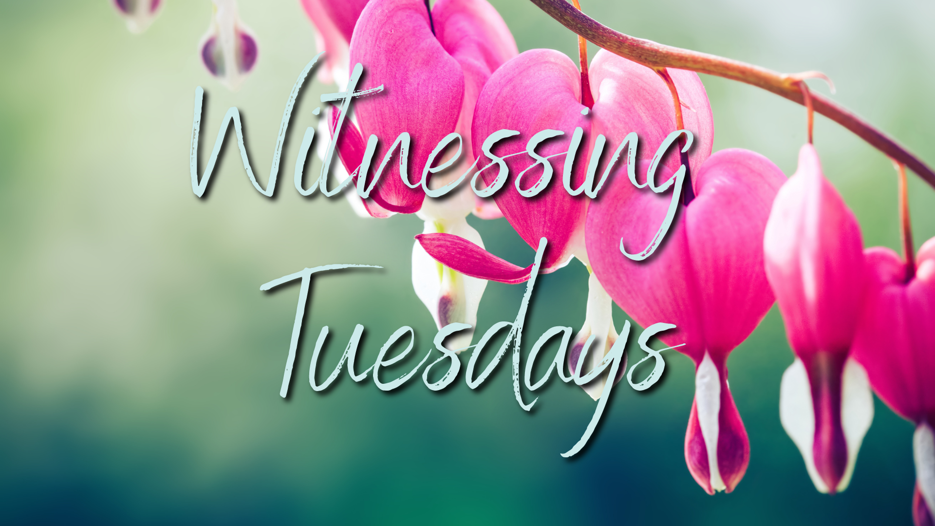 Witnessing Tuesdays — Soul Support Systems