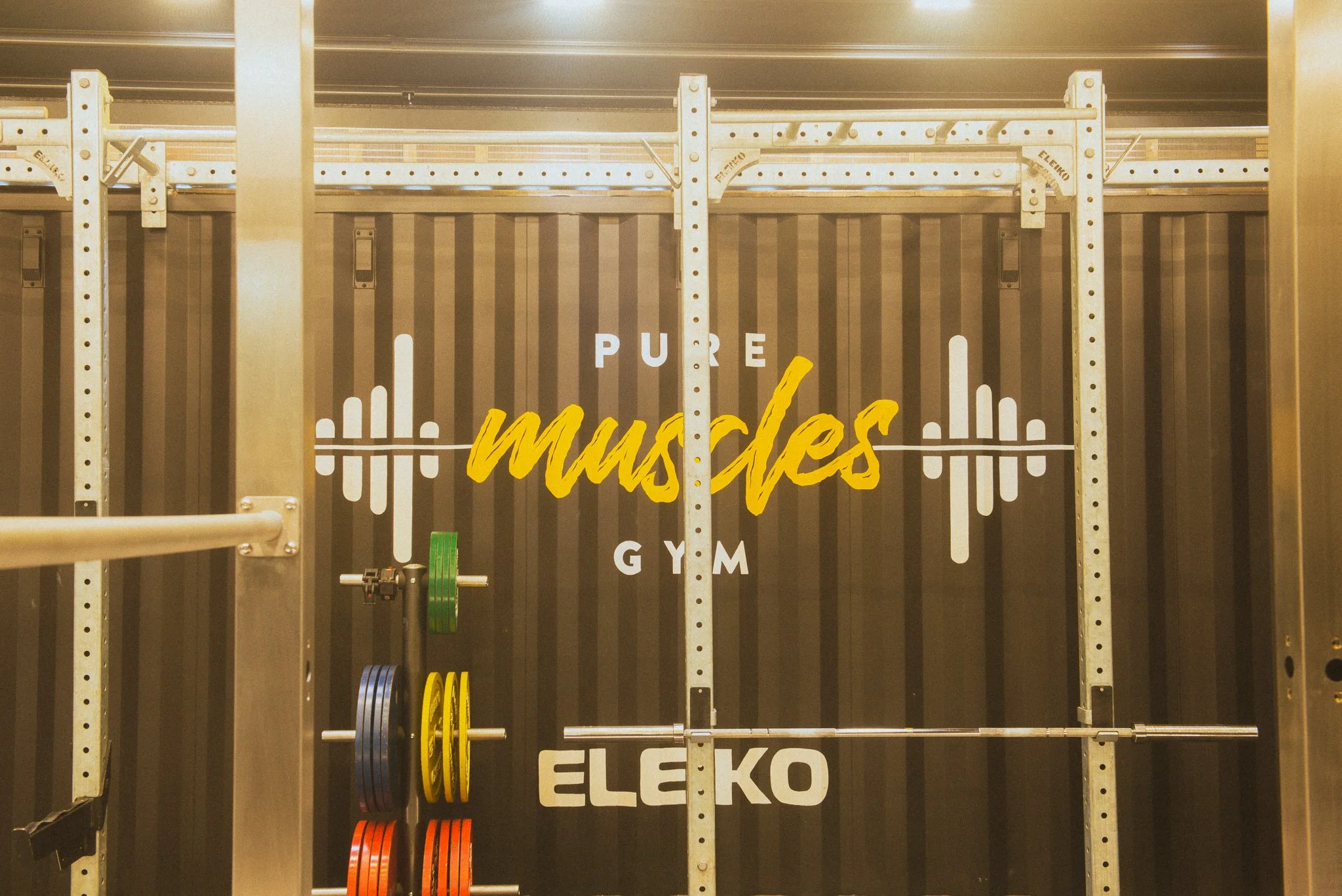 Pure Muscles Gym Mural — Blank Walls