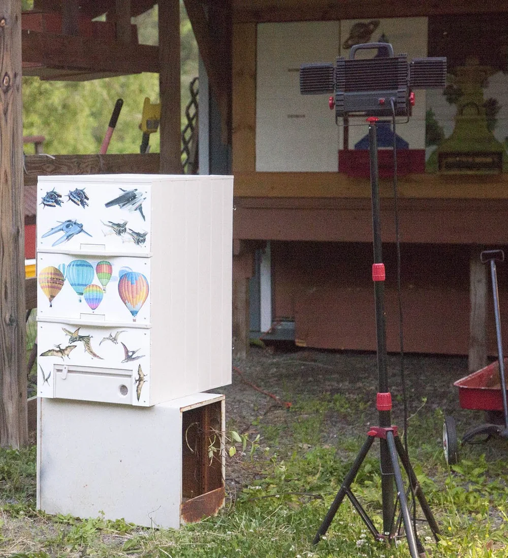 Installing a Hive in the Bee House — My Slovenian Hive