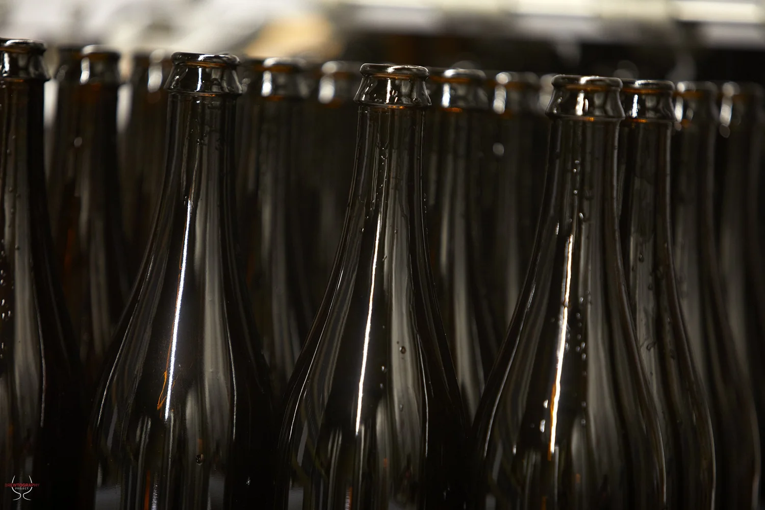 Crooked Stave