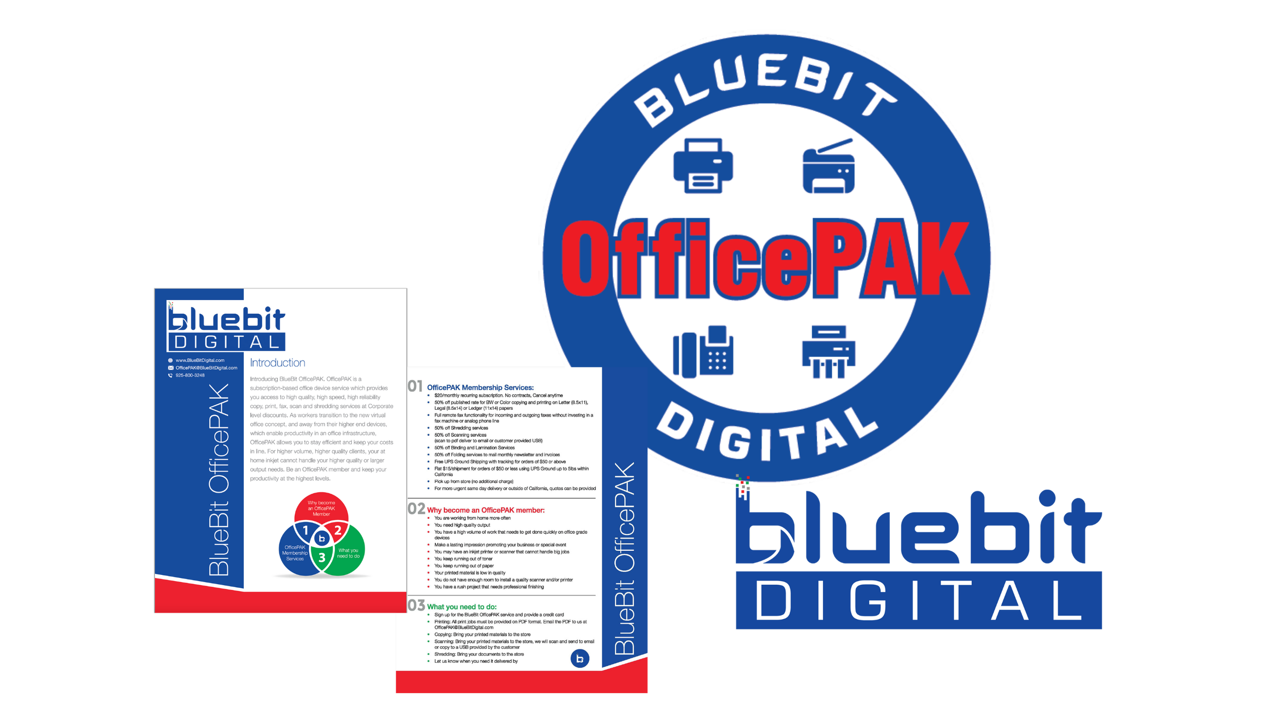 BlueBit Digital — SD