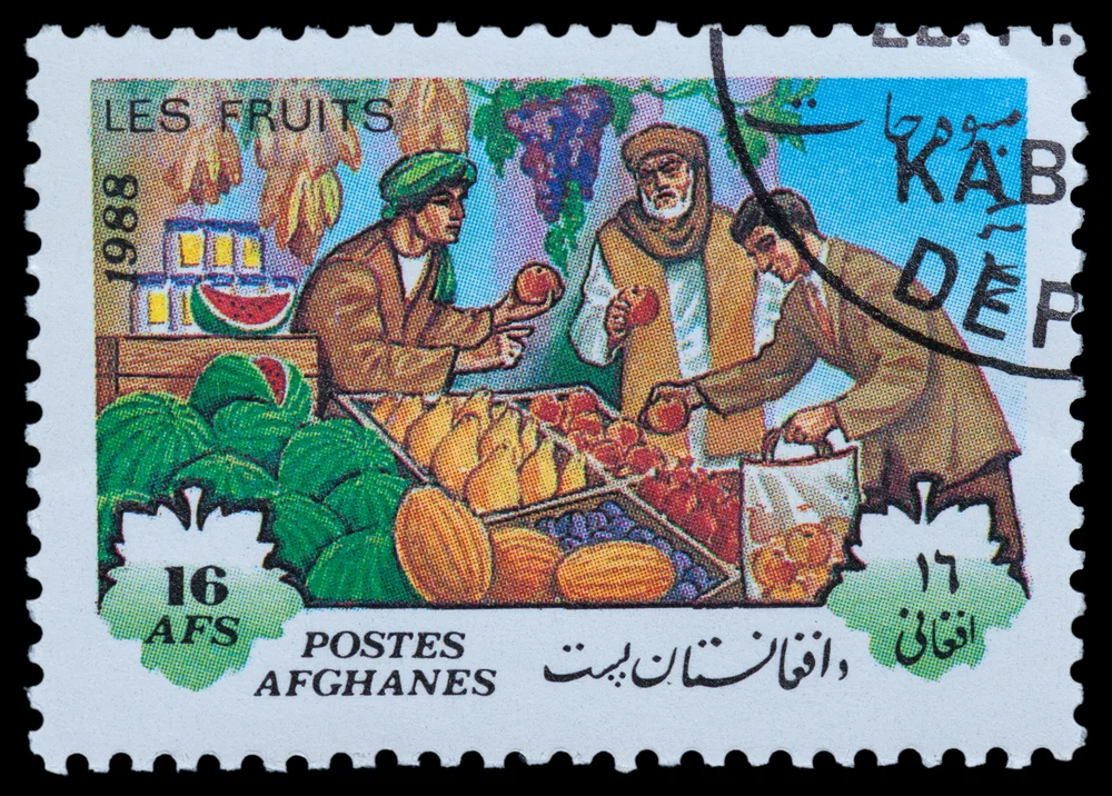 What We Do — Project ANAR