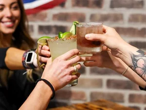 The Angry Elephant | Discover Your Favorite Spot Today