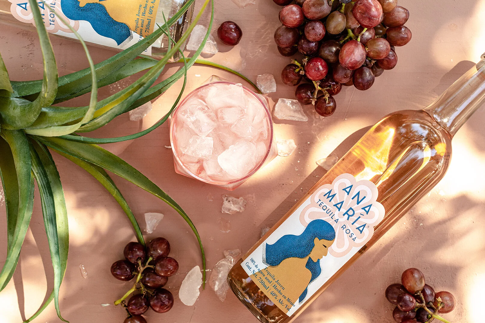 Agave — CNI Brands