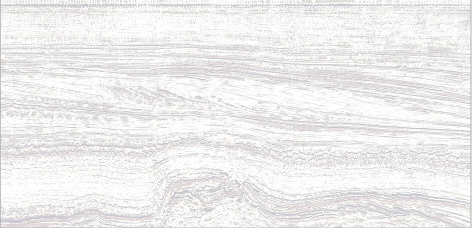 Our Team — Live Oak Environmental