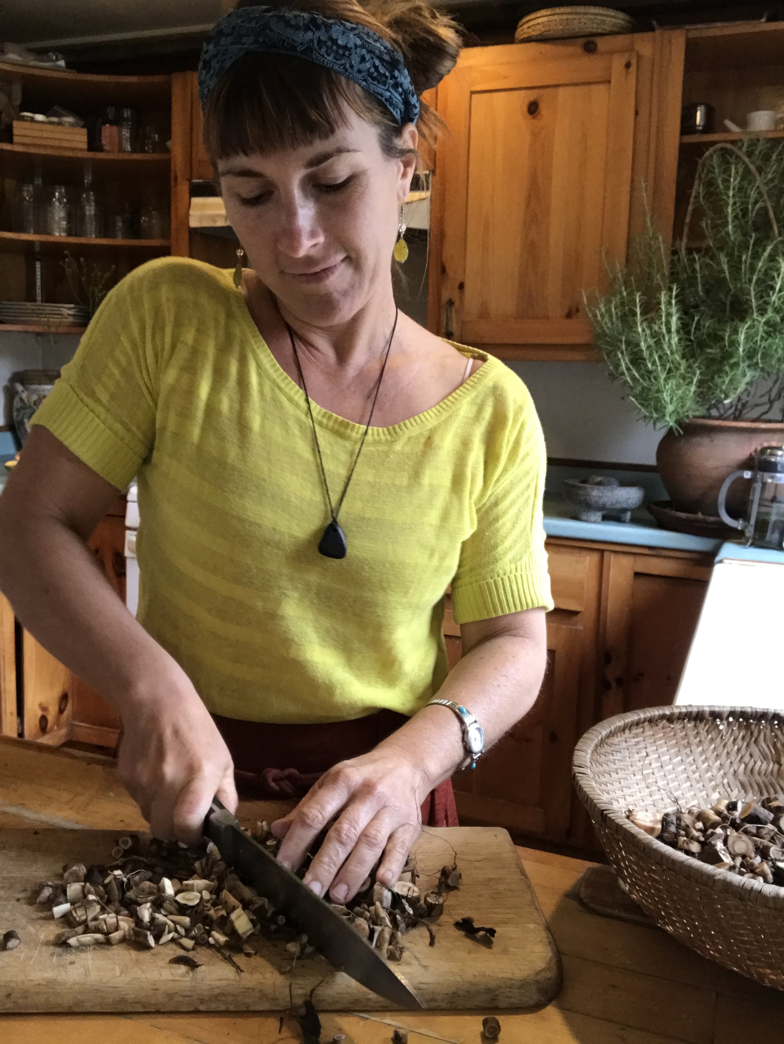 Luna Root Wellness