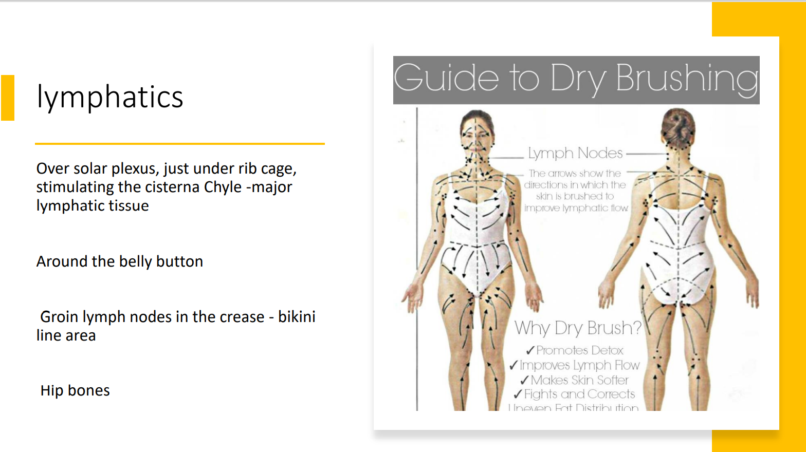 Lymphatics — Coastal Health & Wellbeing
