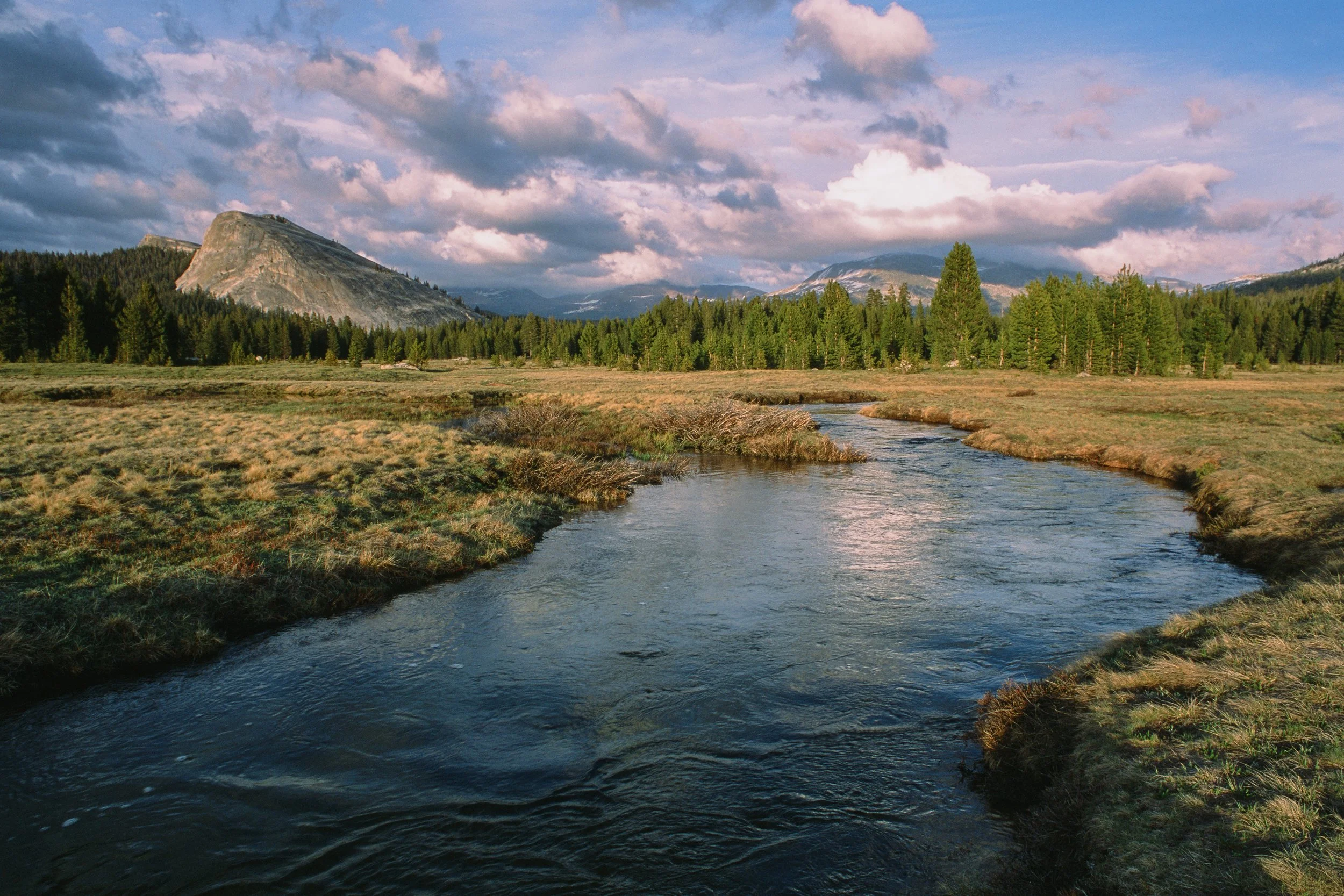 Persistence and Perfectionism — Calvin Chiu Photography