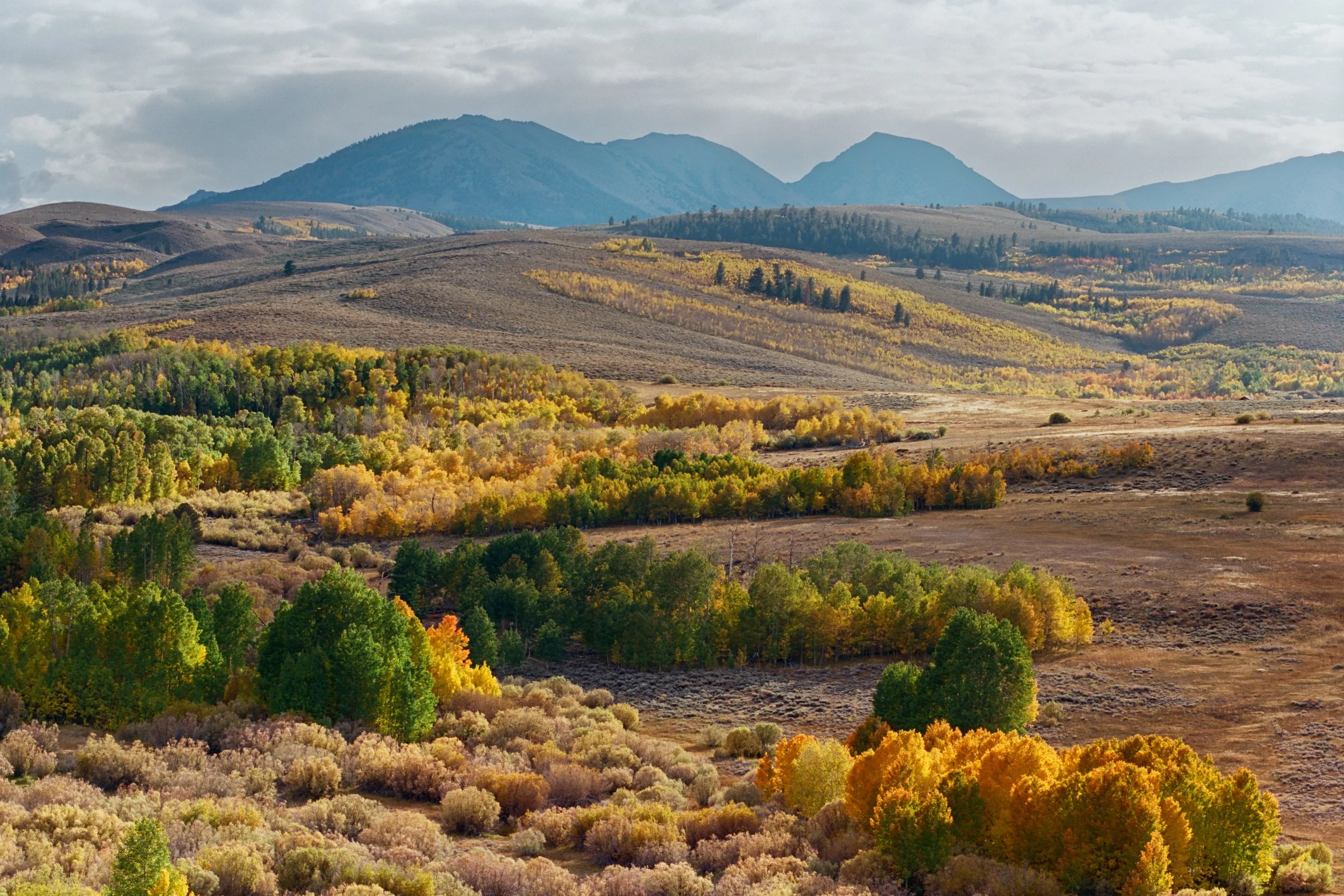 Autumn in the Sierra — Calvin Chiu Photography