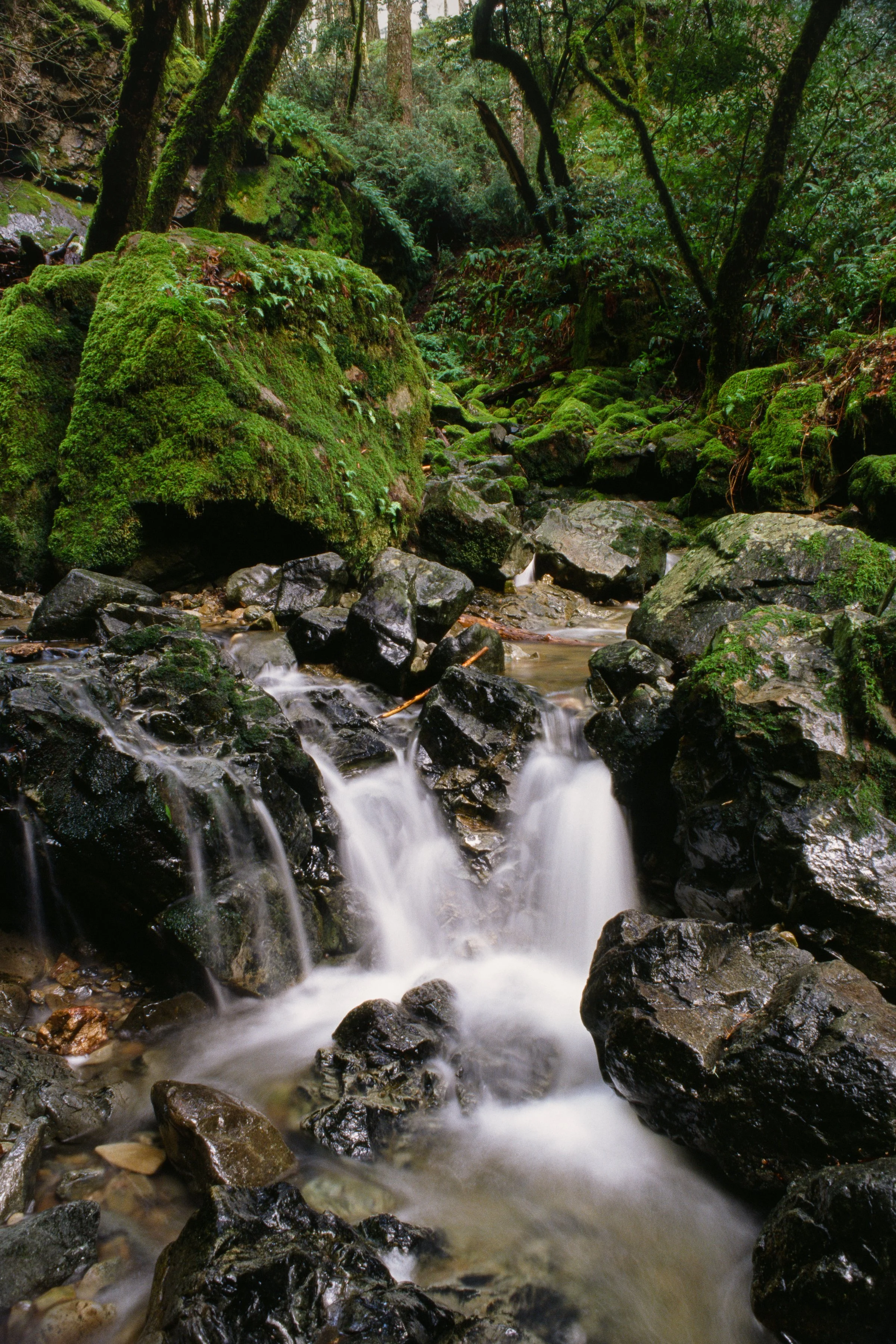 Creative Block — Calvin Chiu Photography