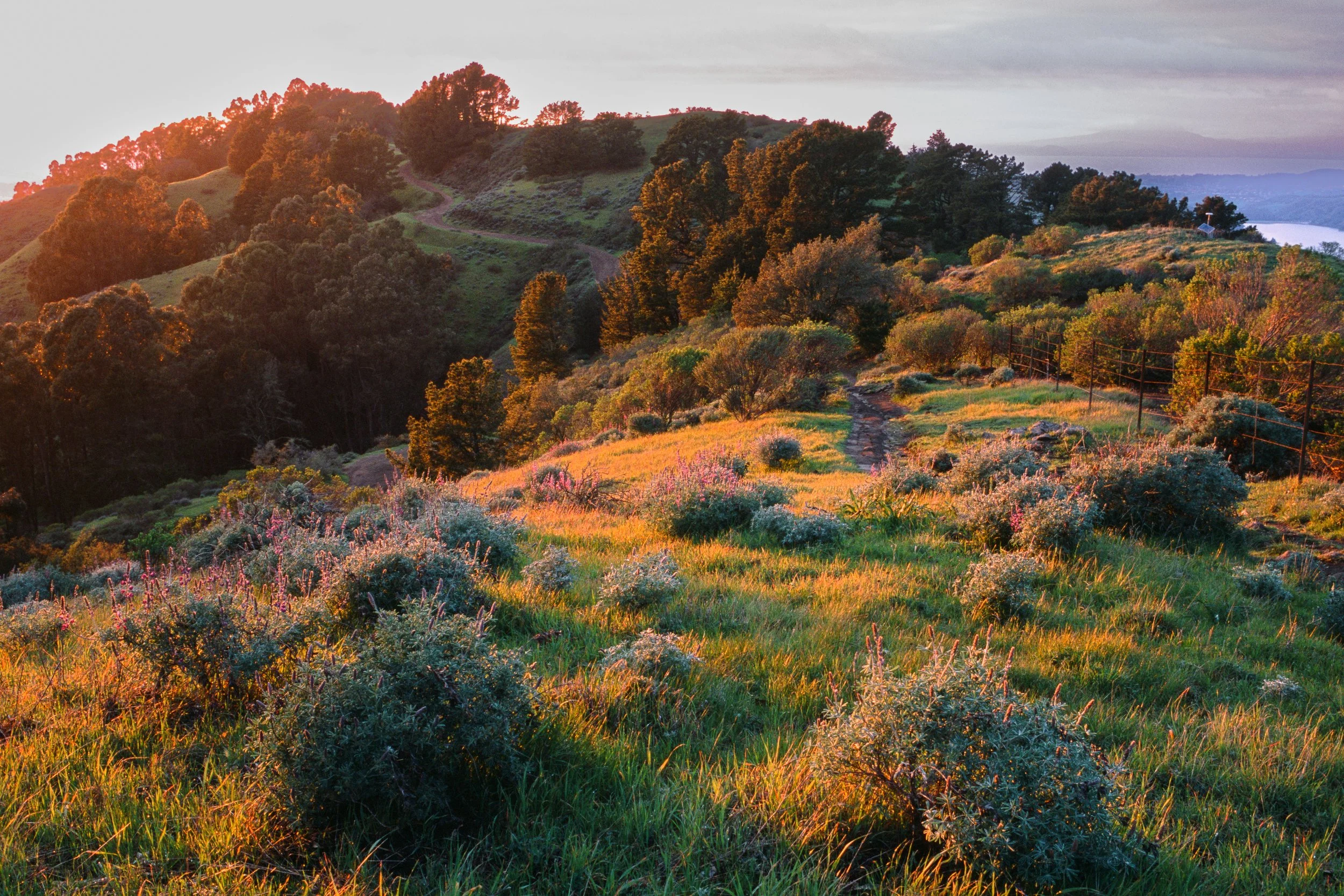 Creative Block — Calvin Chiu Photography