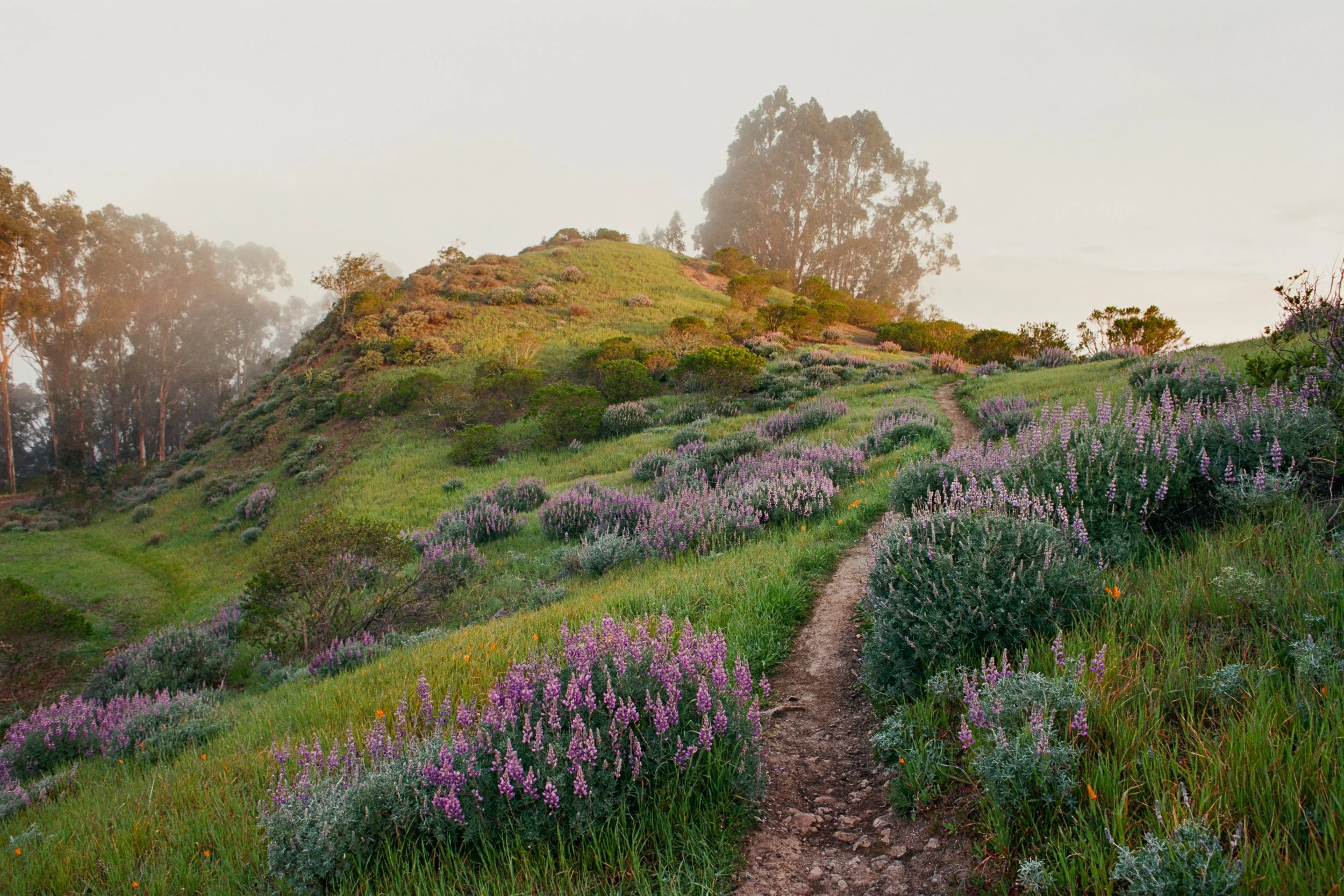 Creative Block — Calvin Chiu Photography