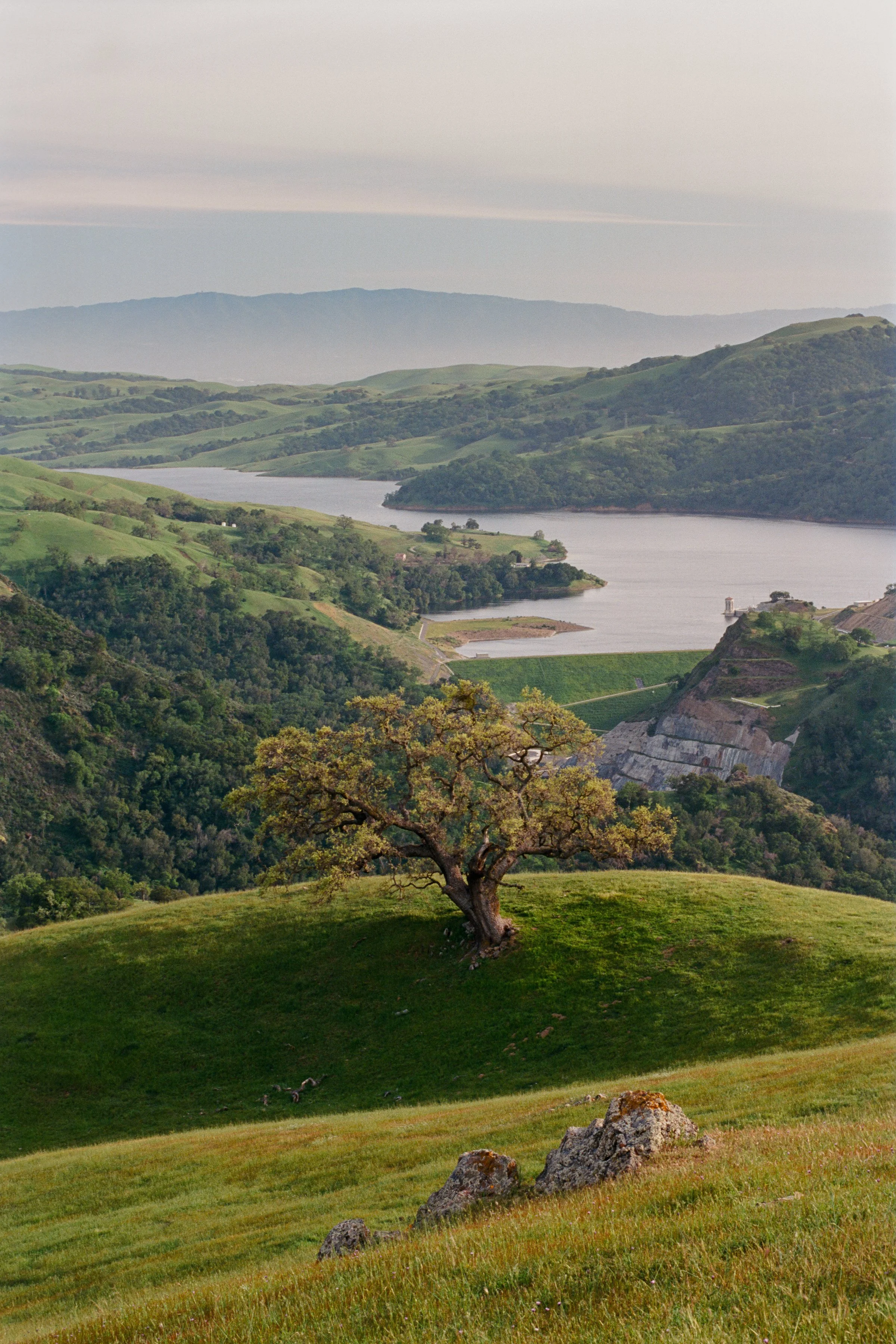 Creative Block — Calvin Chiu Photography