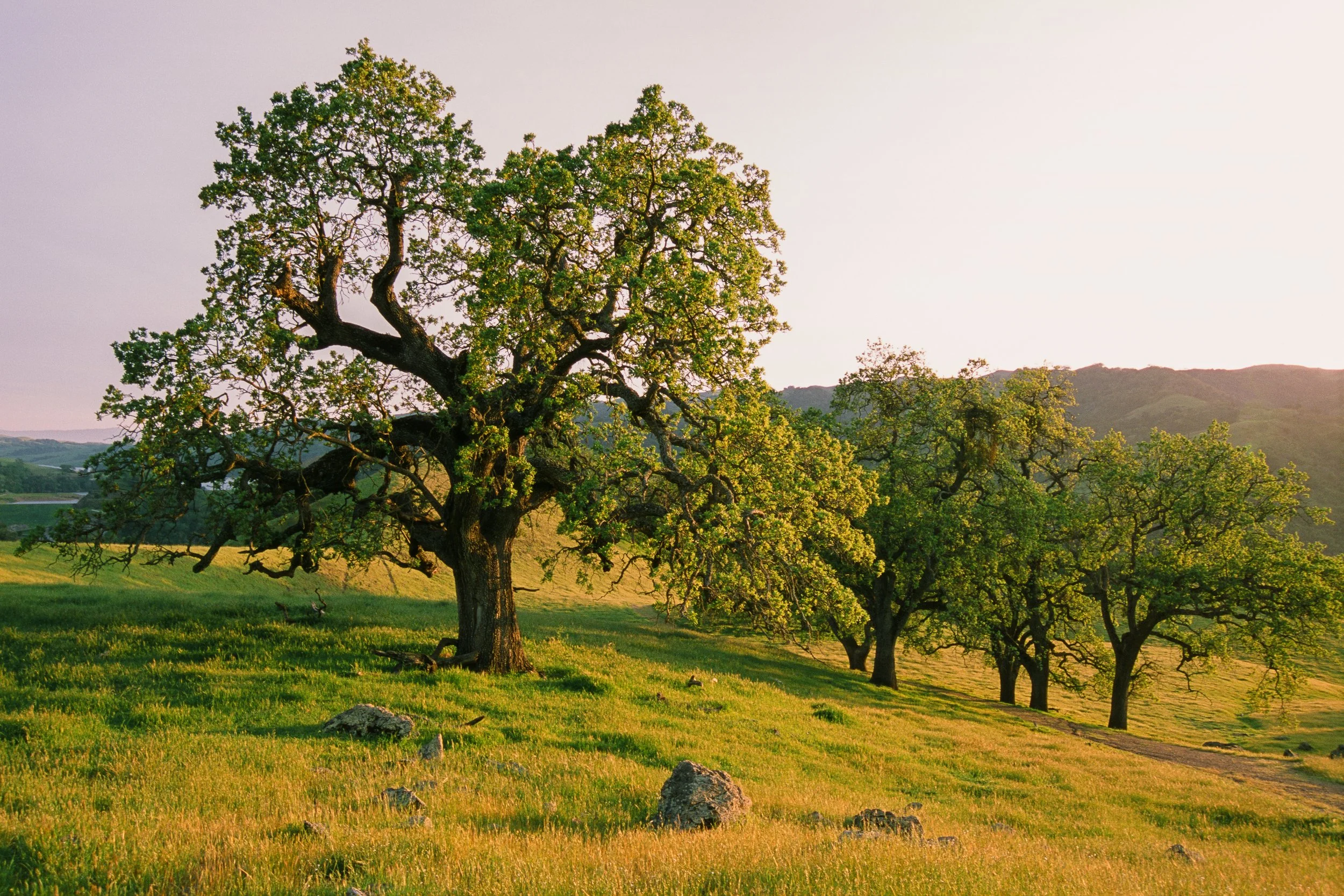 Creative Block — Calvin Chiu Photography