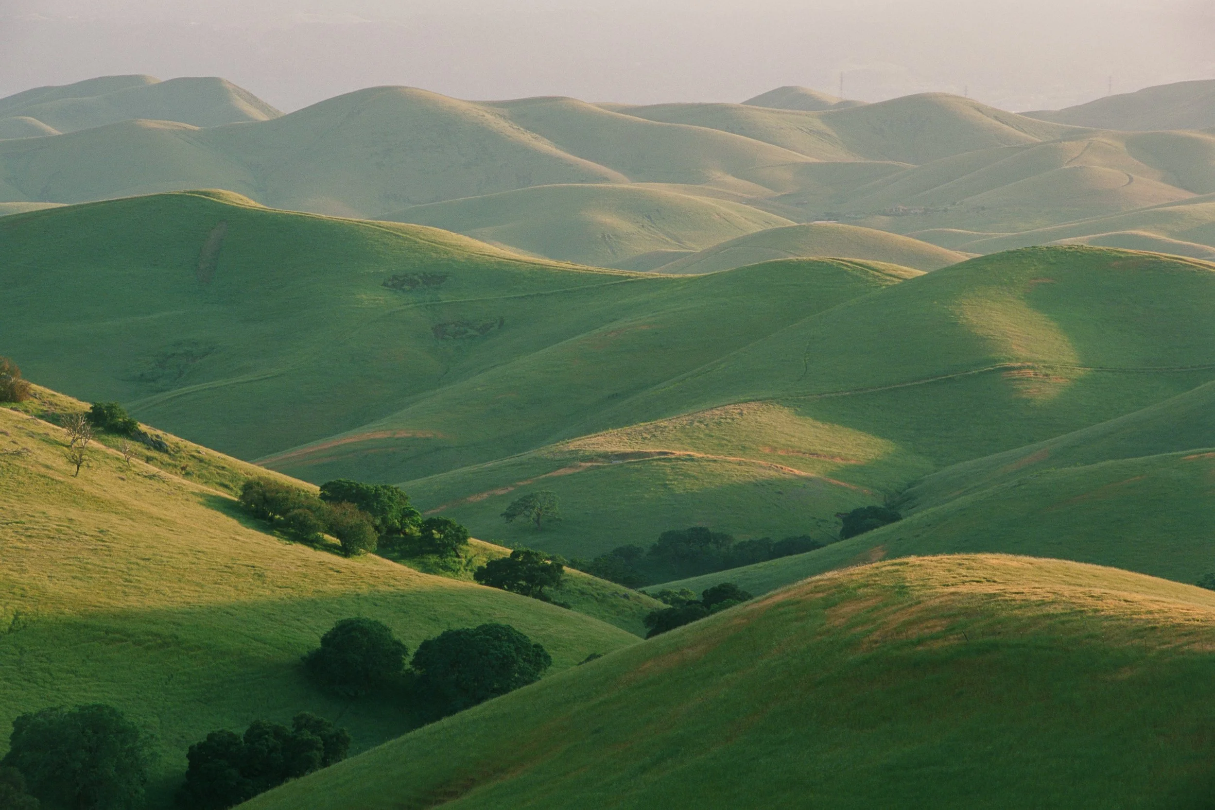 Every Corner of the Bay Area — Calvin Chiu Photography