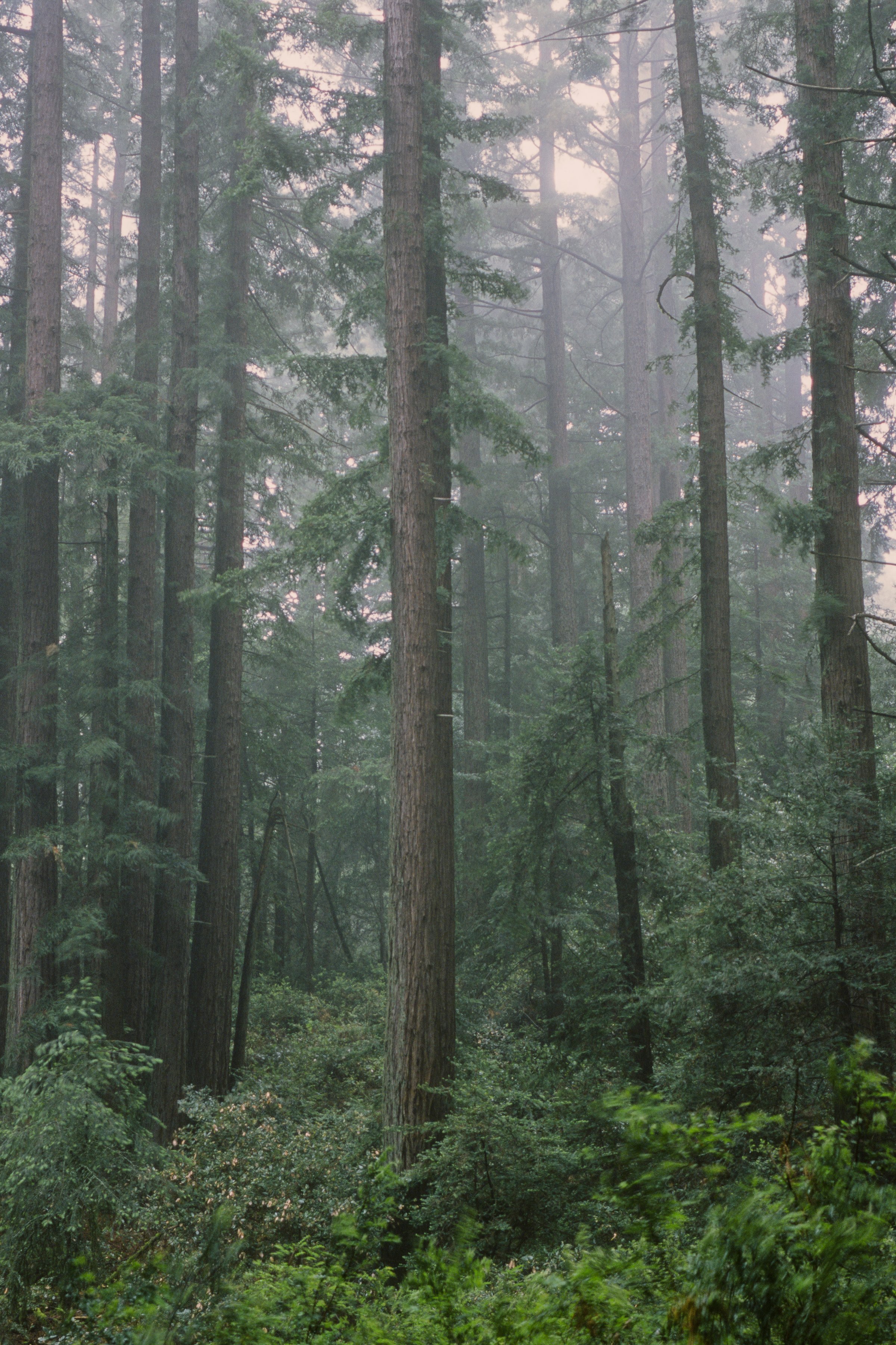 Every Corner of the Bay Area — Calvin Chiu Photography