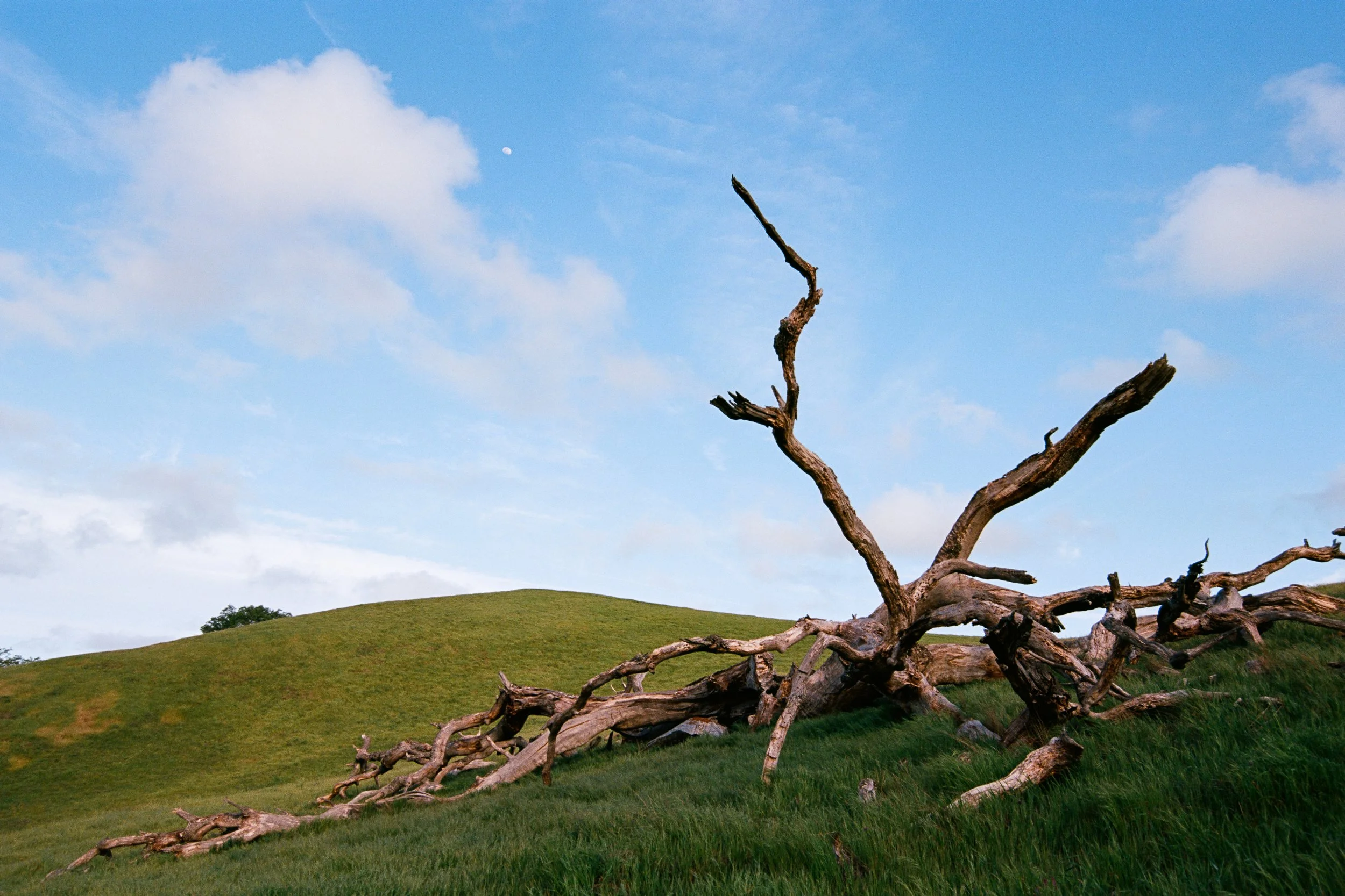 Every Corner of the Bay Area — Calvin Chiu Photography