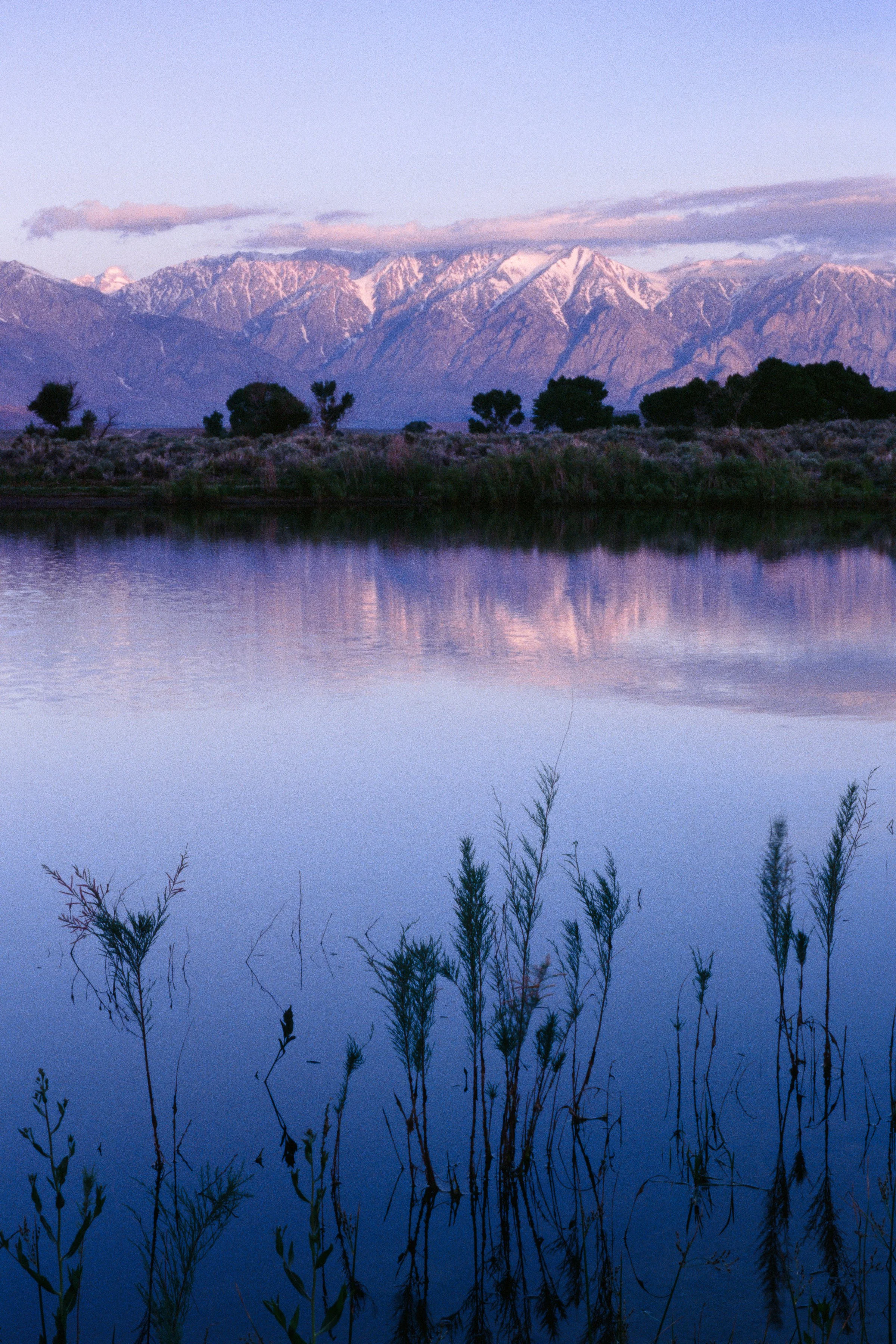 “There It Is. Take It!” — Calvin Chiu Photography