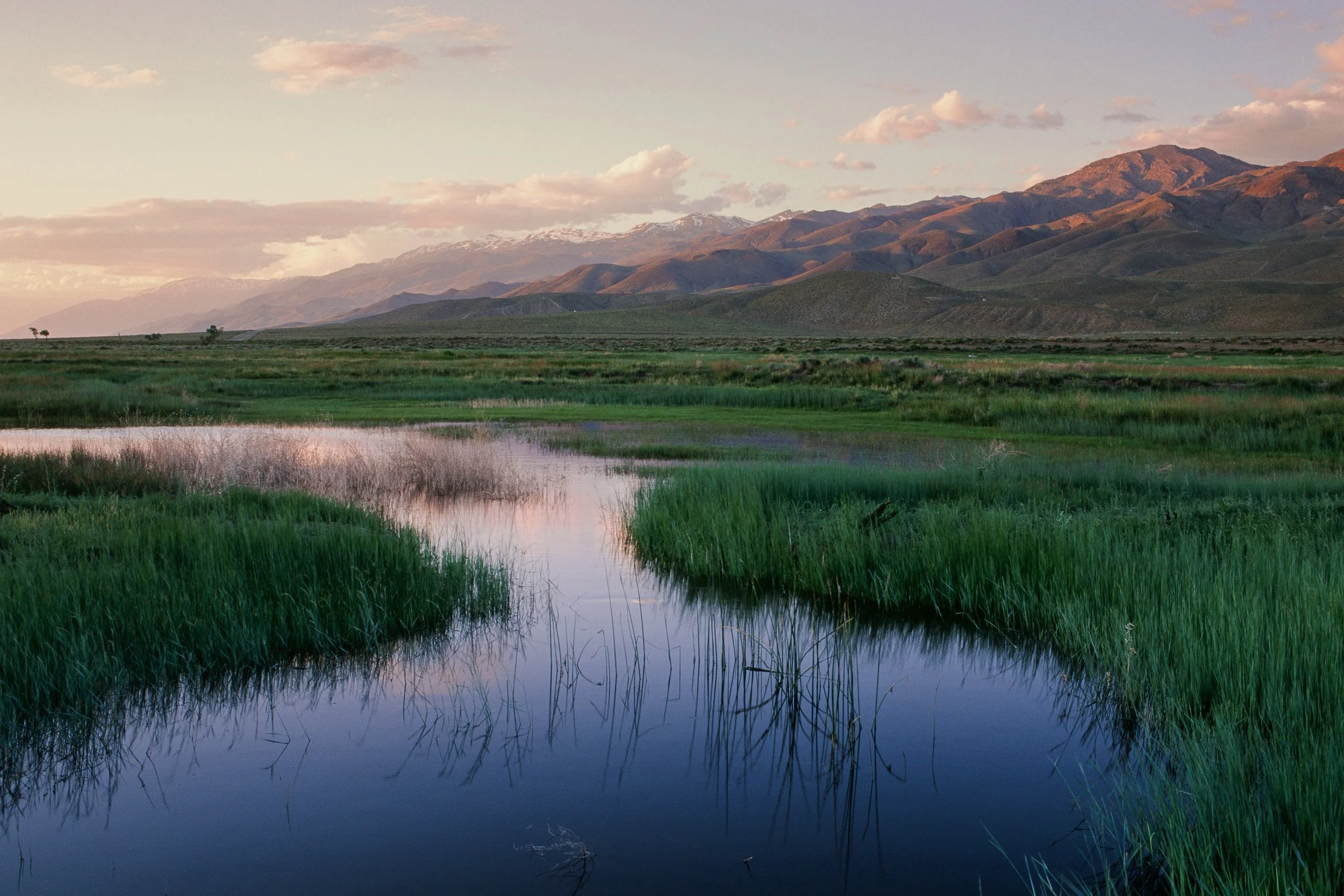 “There It Is. Take It!” — Calvin Chiu Photography