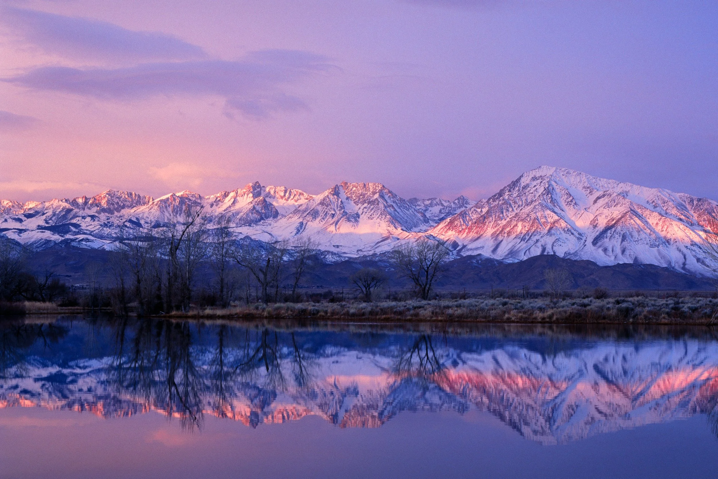 Quitting Photography — Calvin Chiu Photography