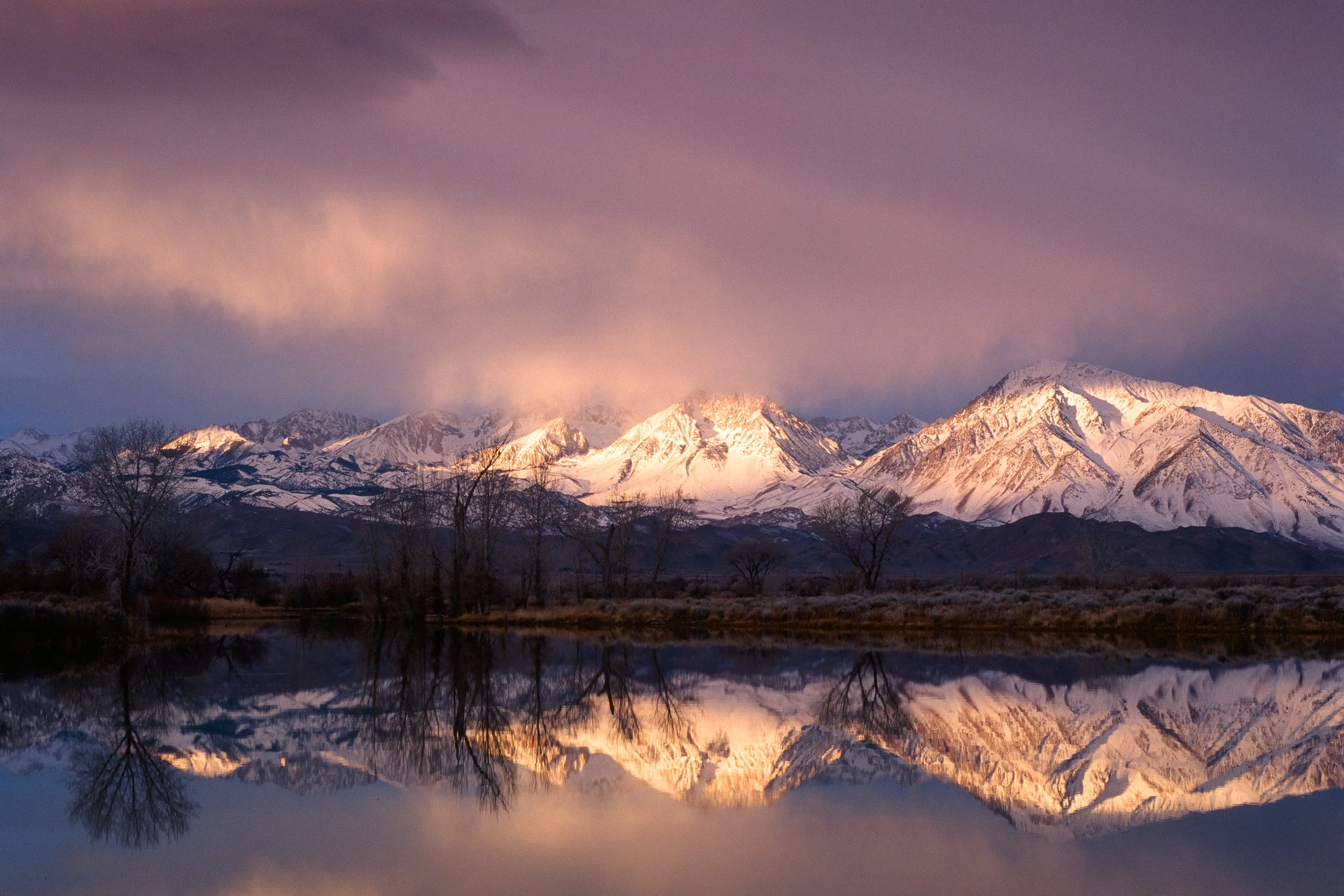 Quitting Photography — Calvin Chiu Photography