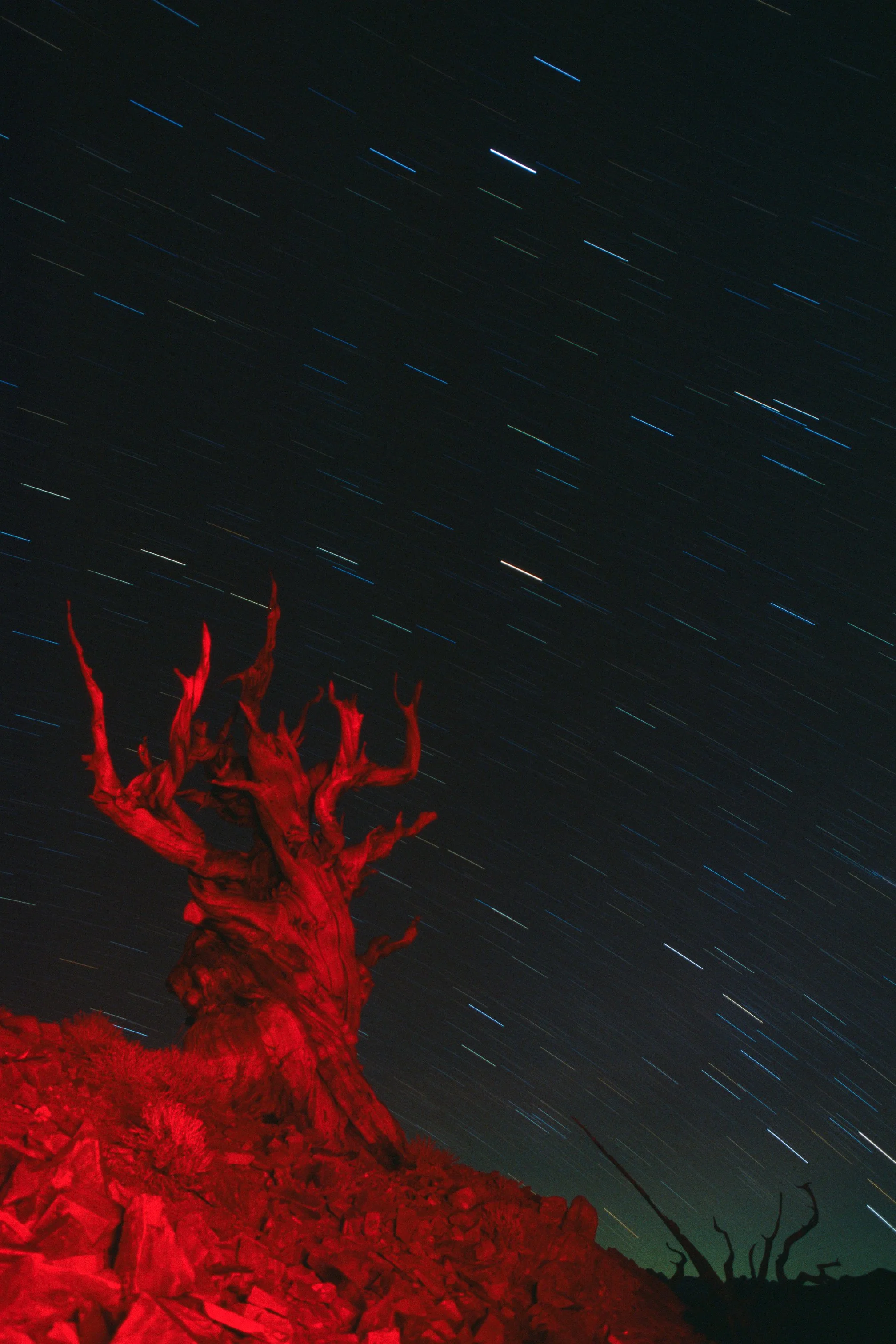 Living Ruins — Calvin Chiu Photography