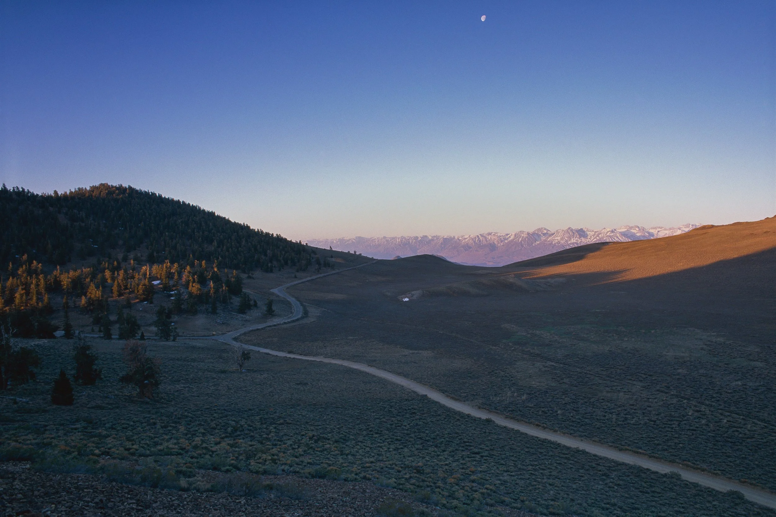 Living Ruins — Calvin Chiu Photography