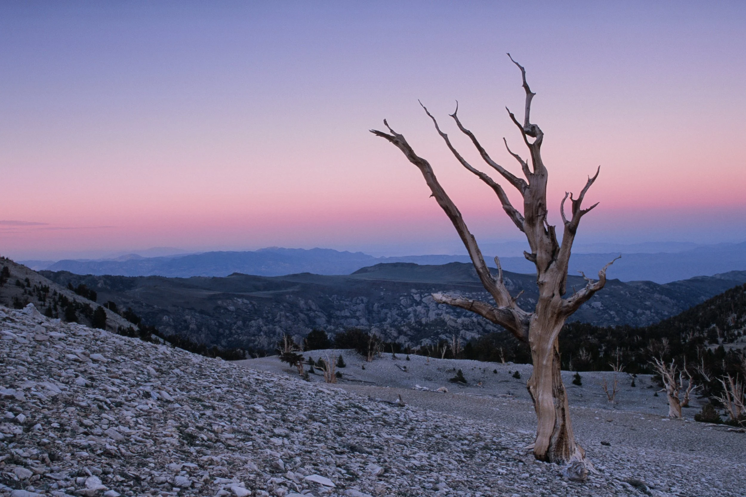 Living Ruins — Calvin Chiu Photography