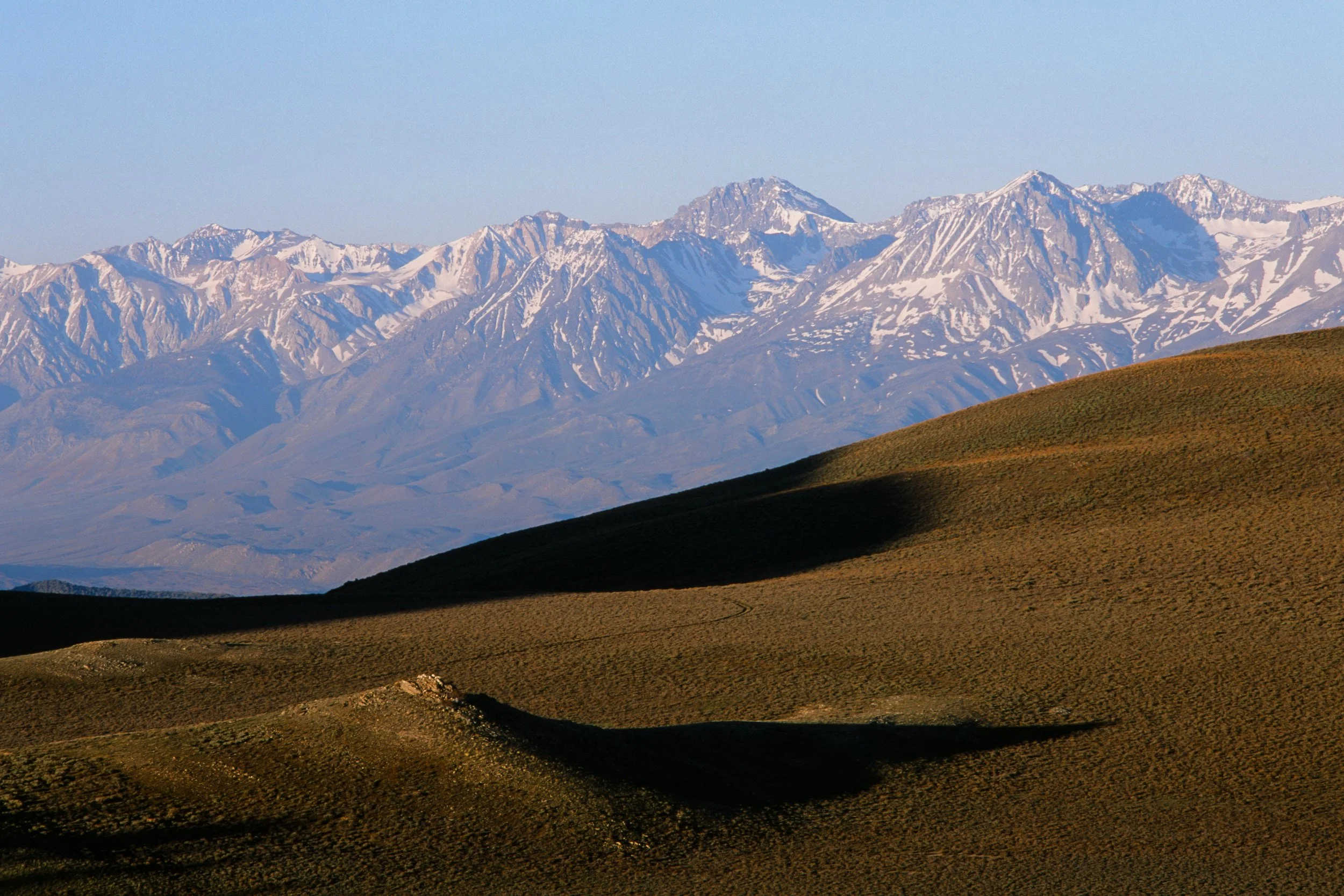 Living Ruins — Calvin Chiu Photography