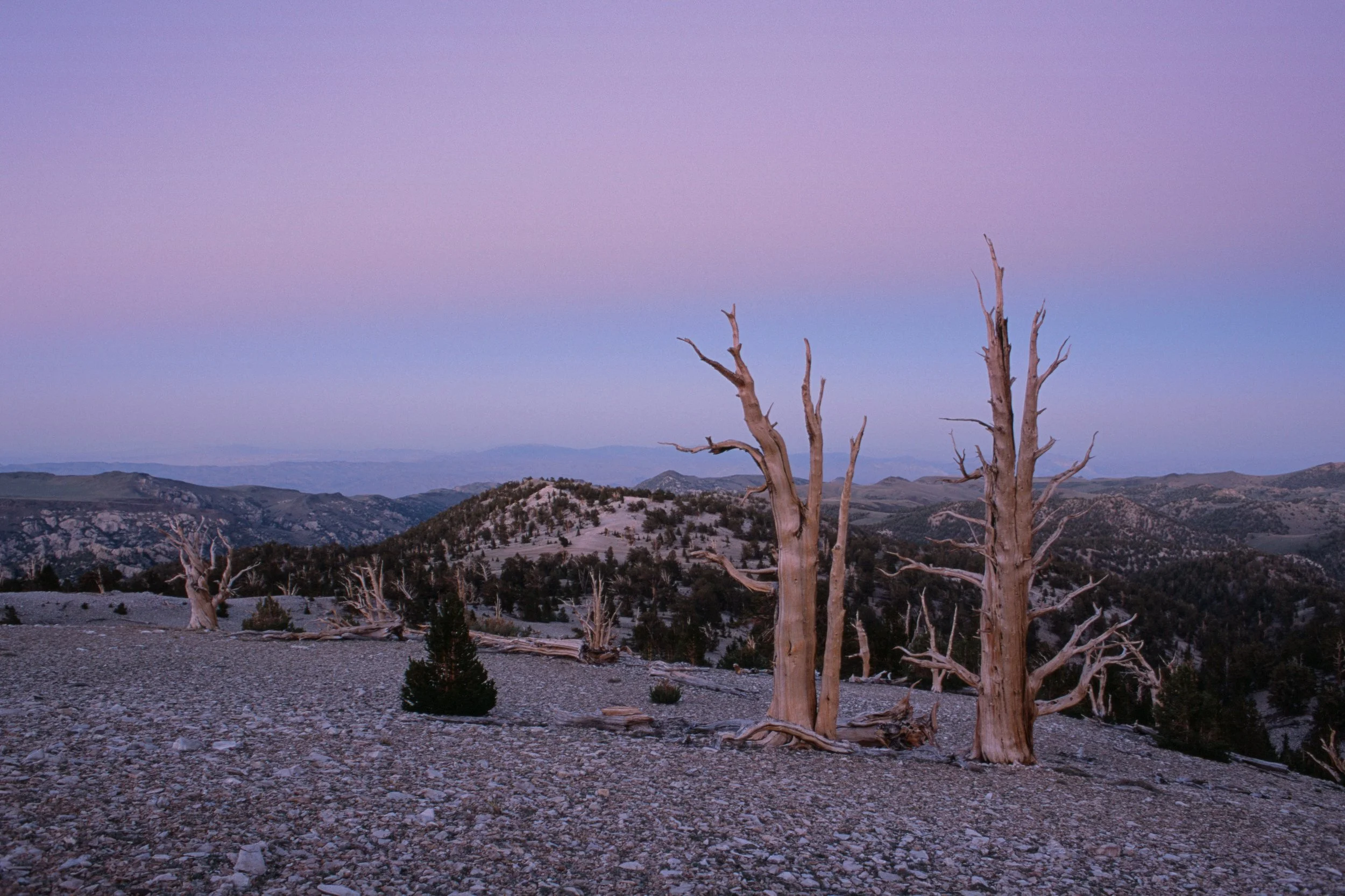 Living Ruins — Calvin Chiu Photography