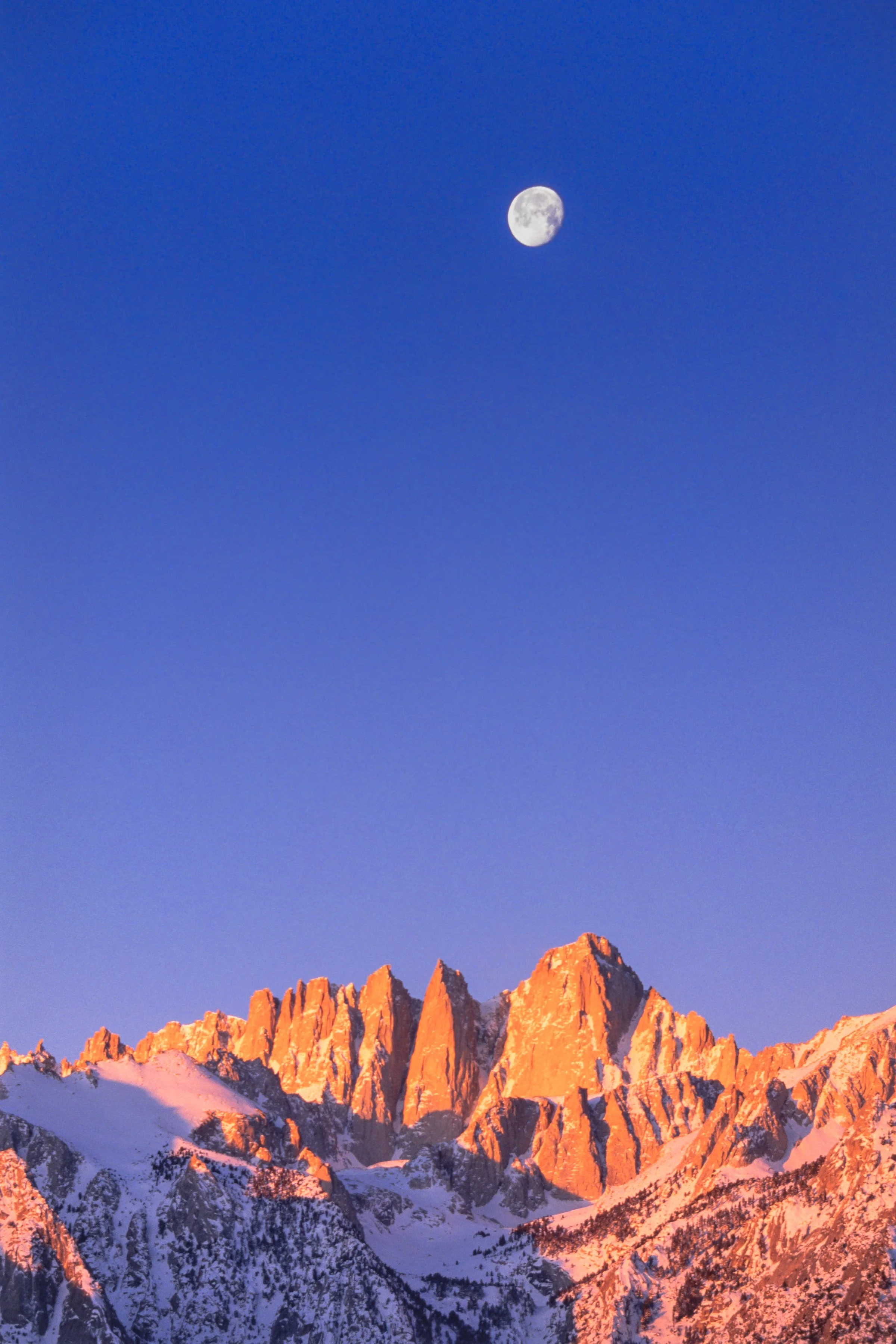 Back to the Mountains — Calvin Chiu Photography