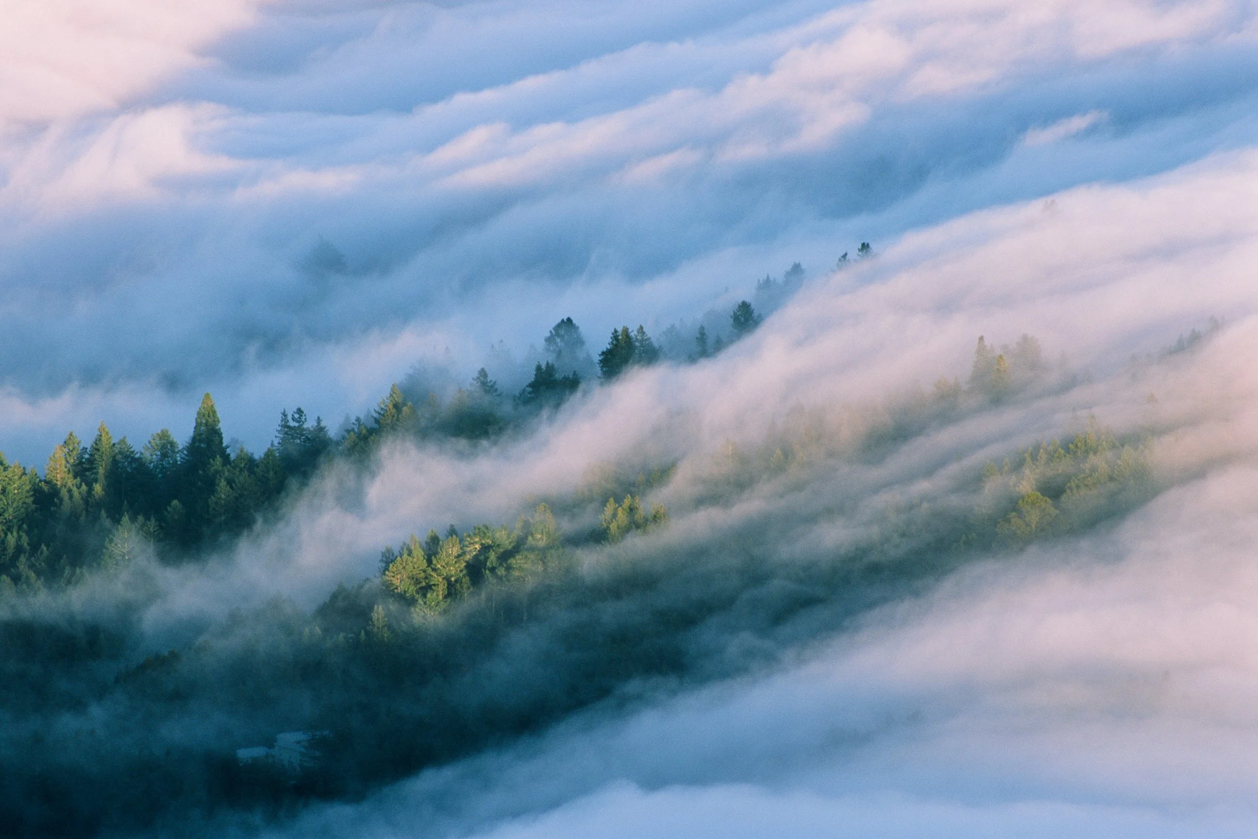 Prints — Calvin Chiu Photography