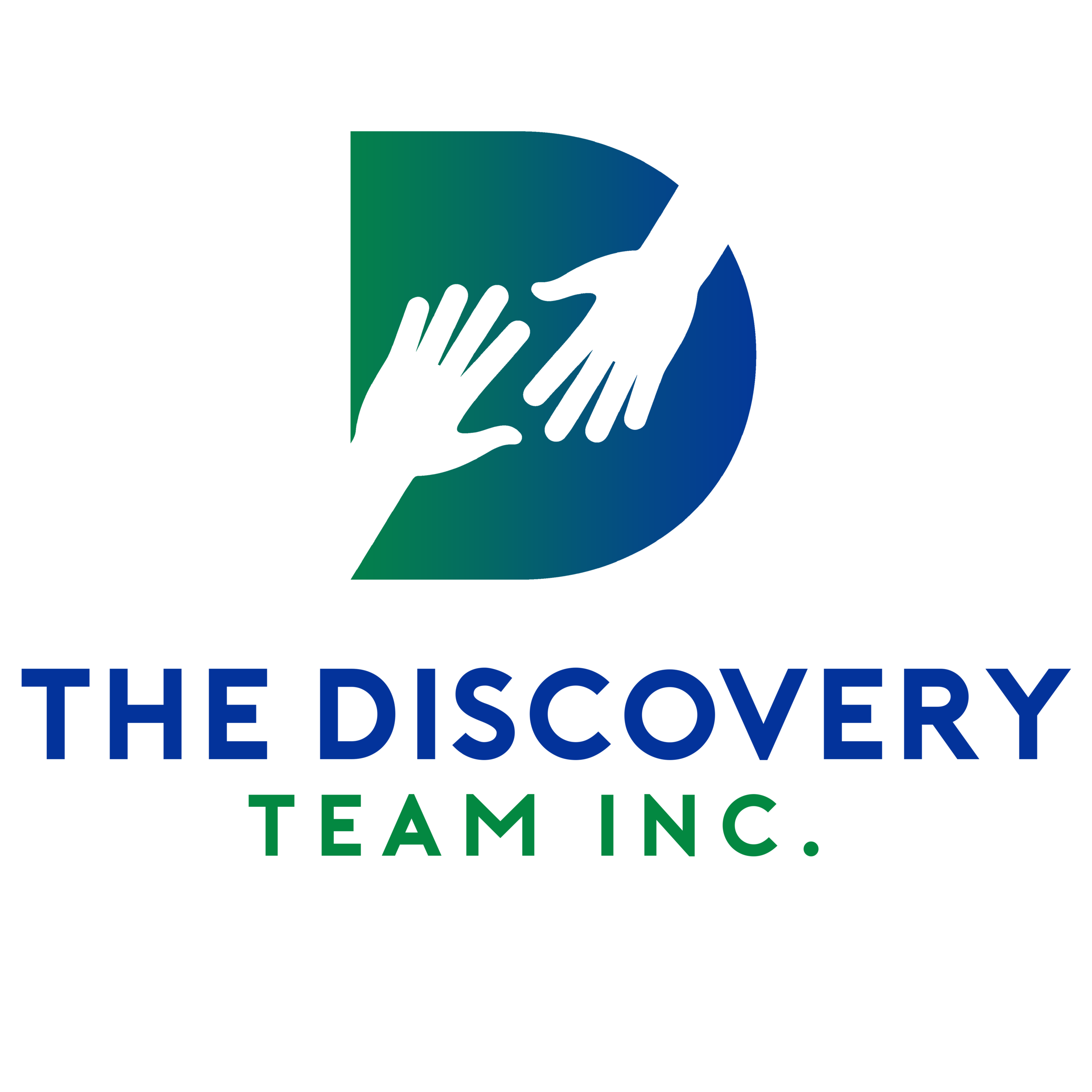The Discovery Team Inc