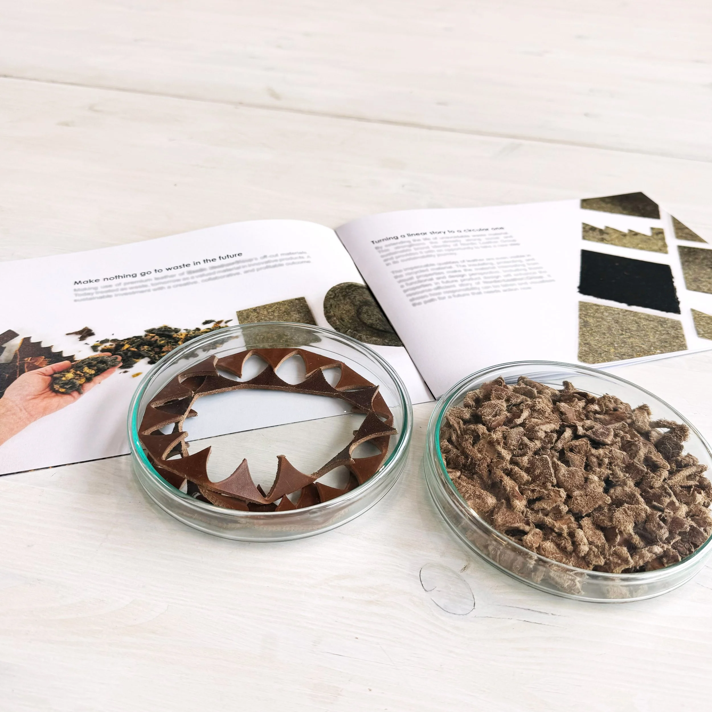 The Loop Factory - Circular Innovations