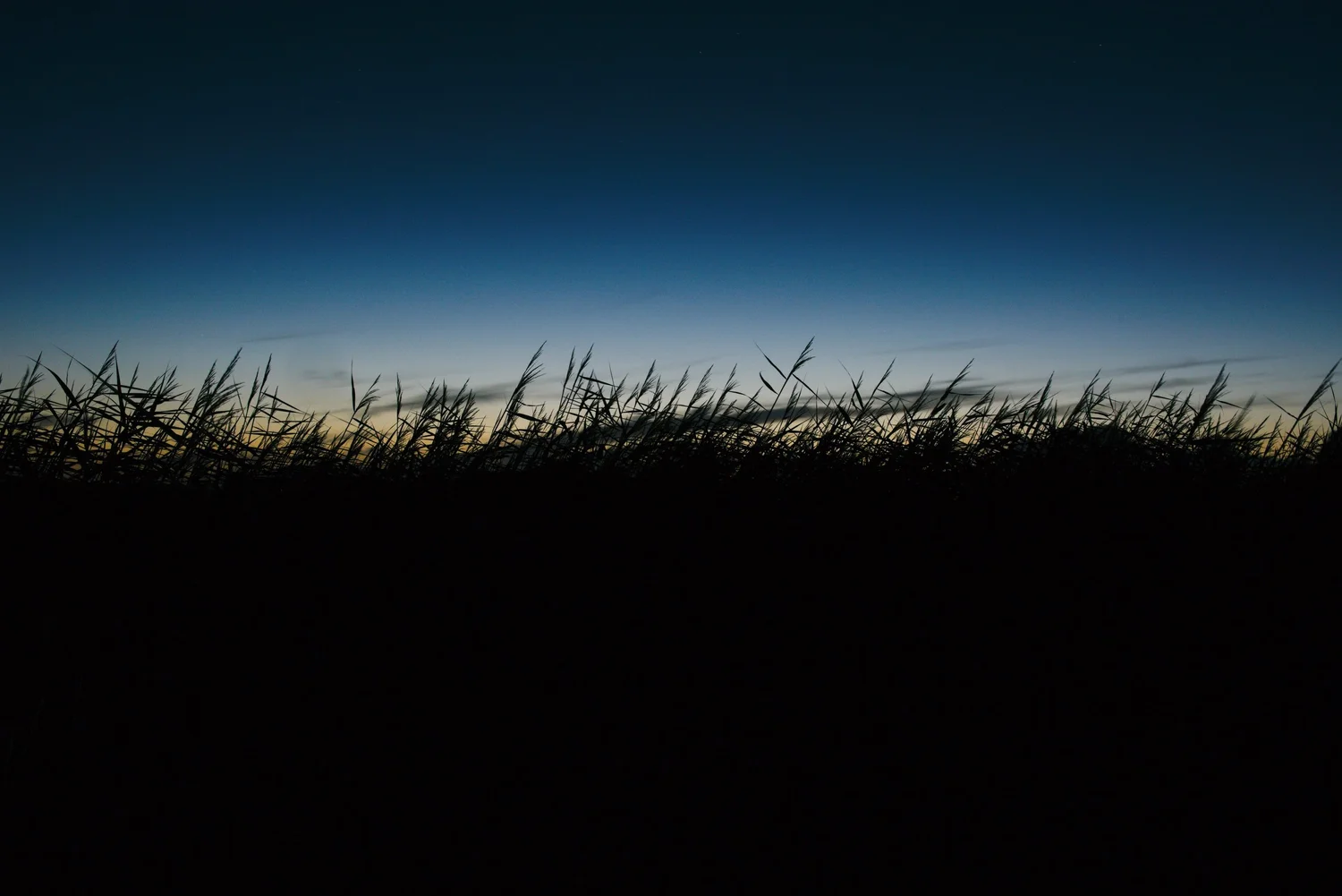 Sound Art and Design — JO KENNEDY | working creatively with sound