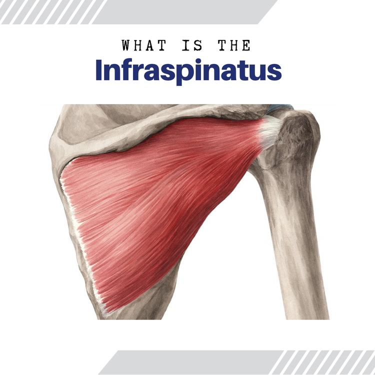 Pain In The Front Of The Shoulder With Bench Press